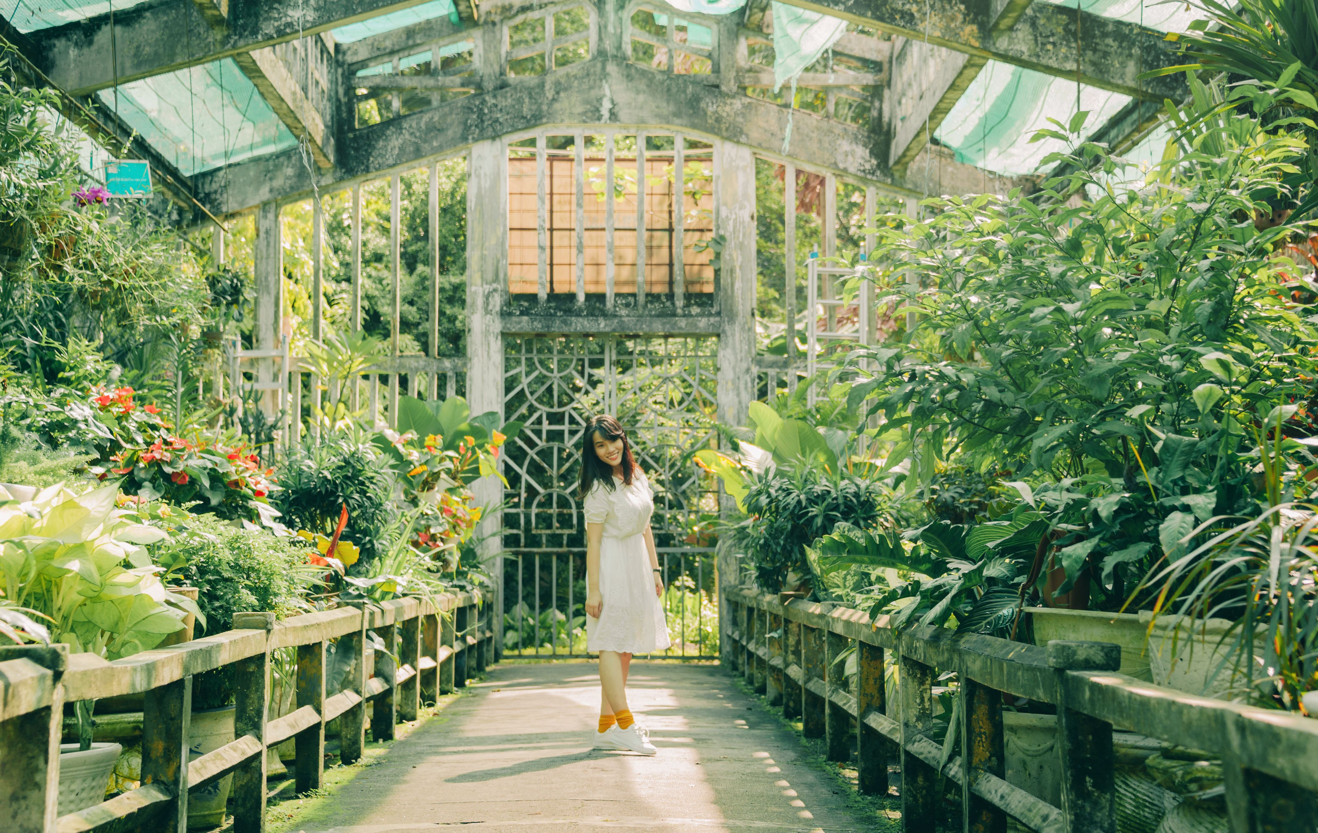 Greenhouse Photos, Download The BEST Free Greenhouse Stock Photos & HD ...