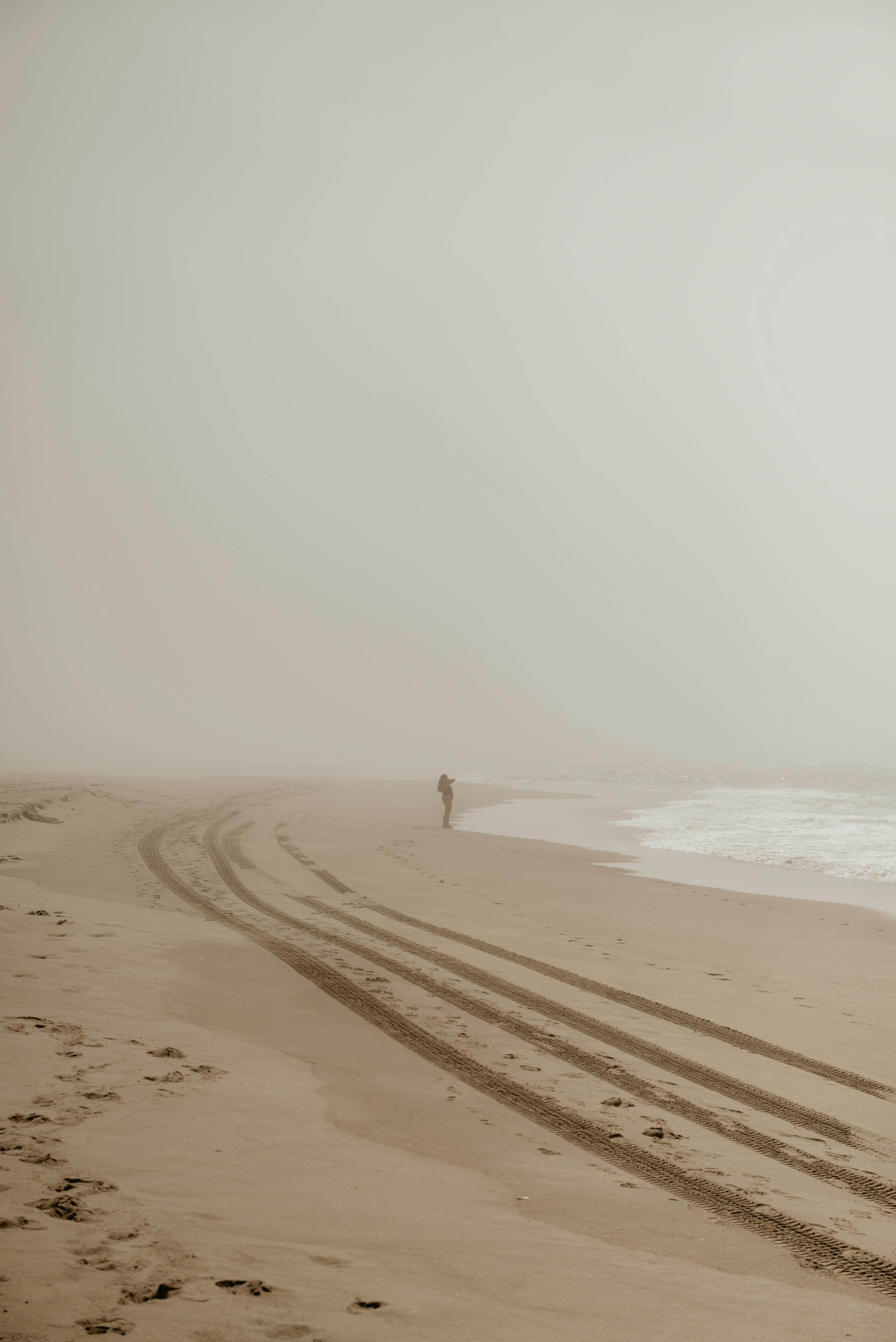 Silhouette of a Person on an Extremely Foggy Field · Free Stock Photo