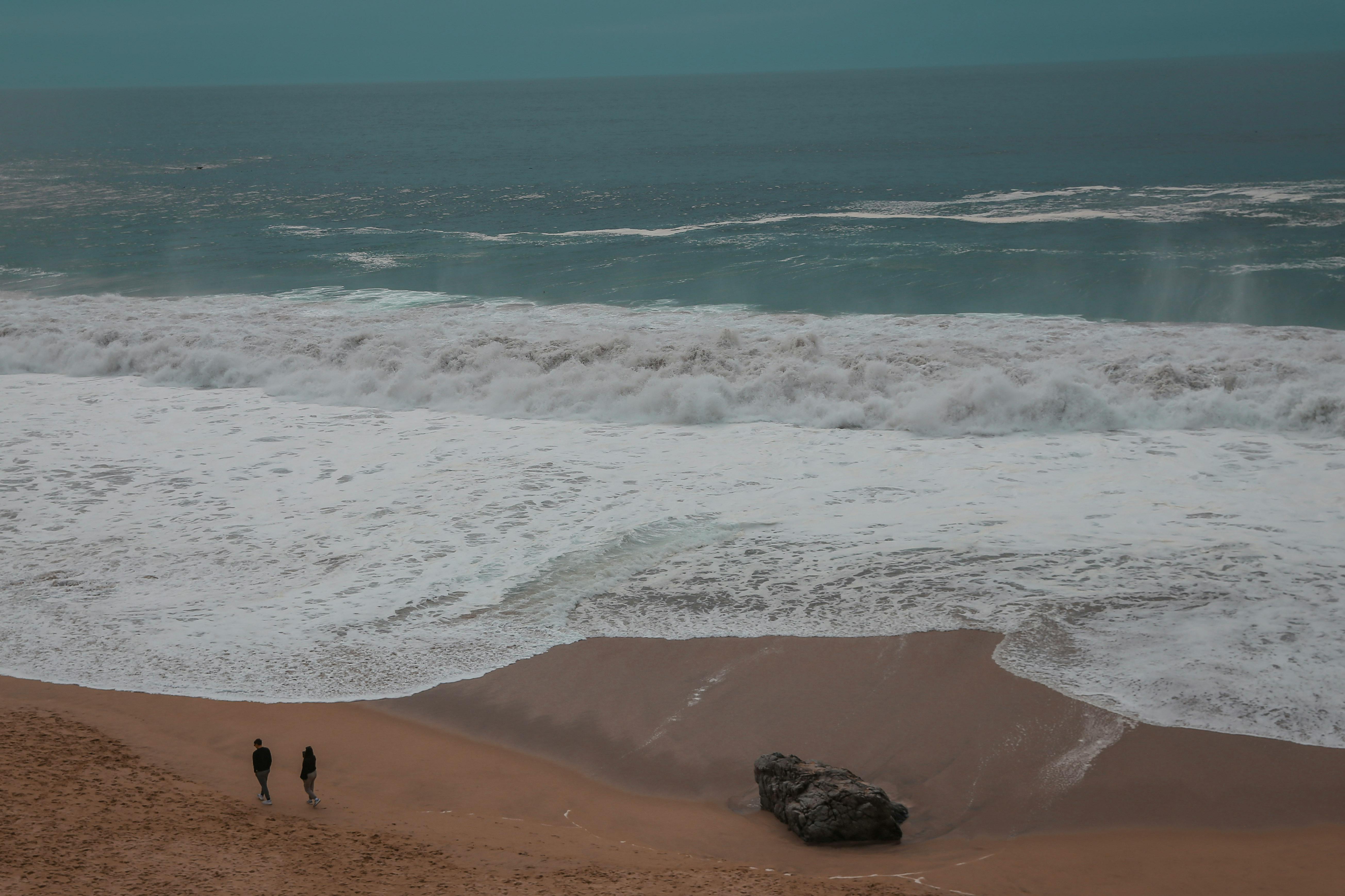 Sea Foam on Beach · Free Stock Photo
