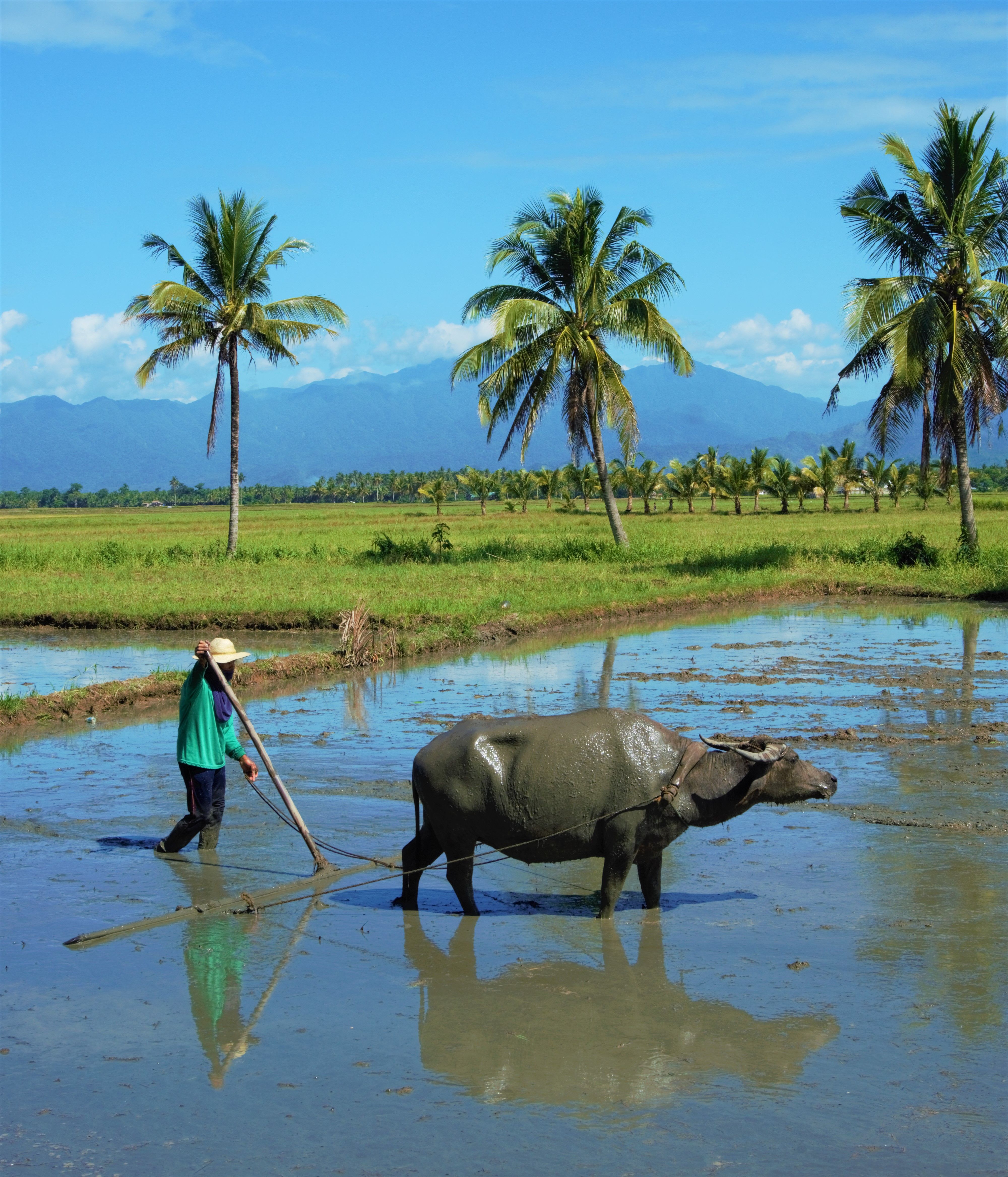 3.000+ Foto Baler Aurora Map Terbaik · Unduh Gratis 100% · Foto Stok Pexels