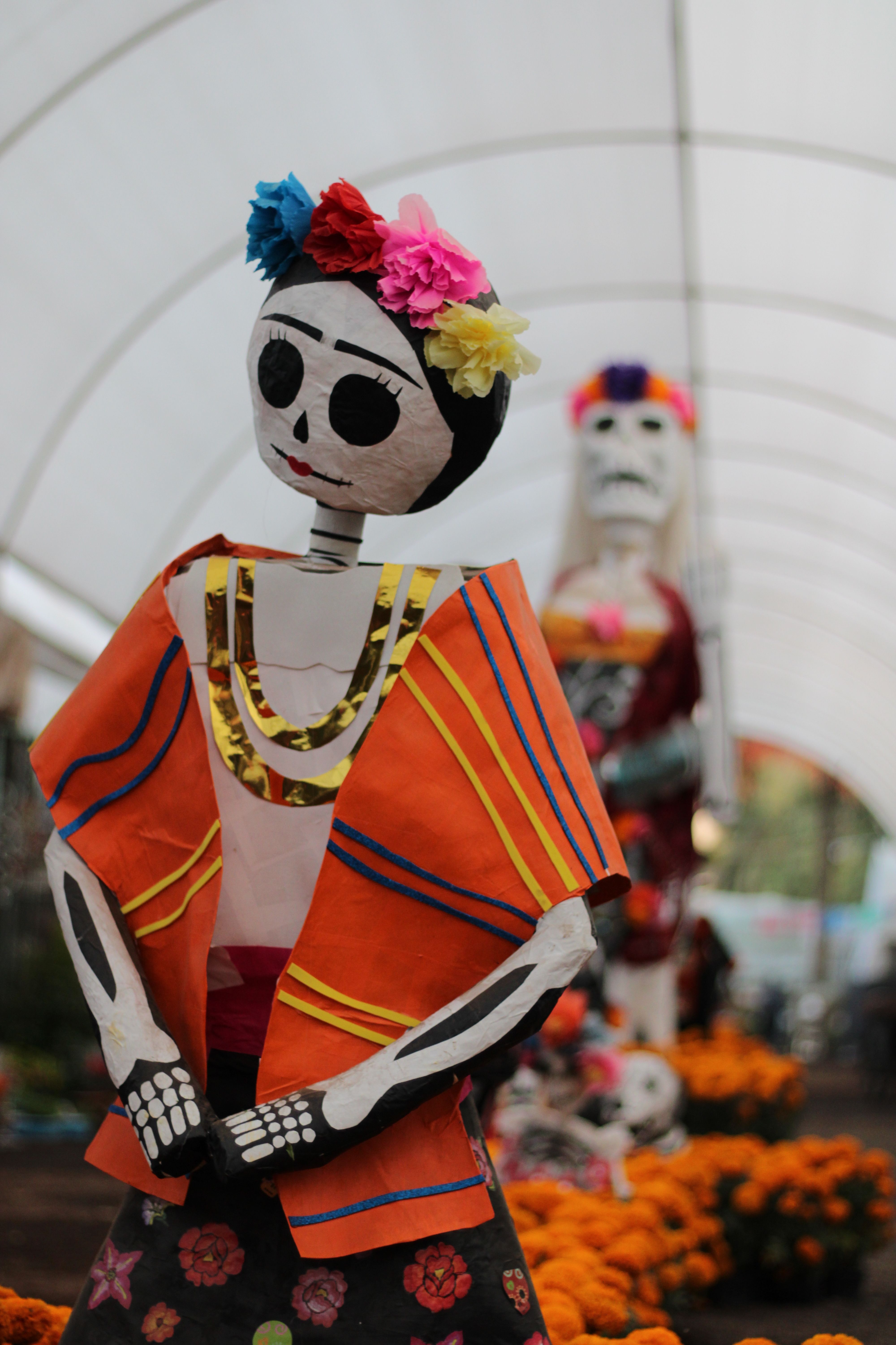Figurine in the Shape of a Skeleton · Free Stock Photo