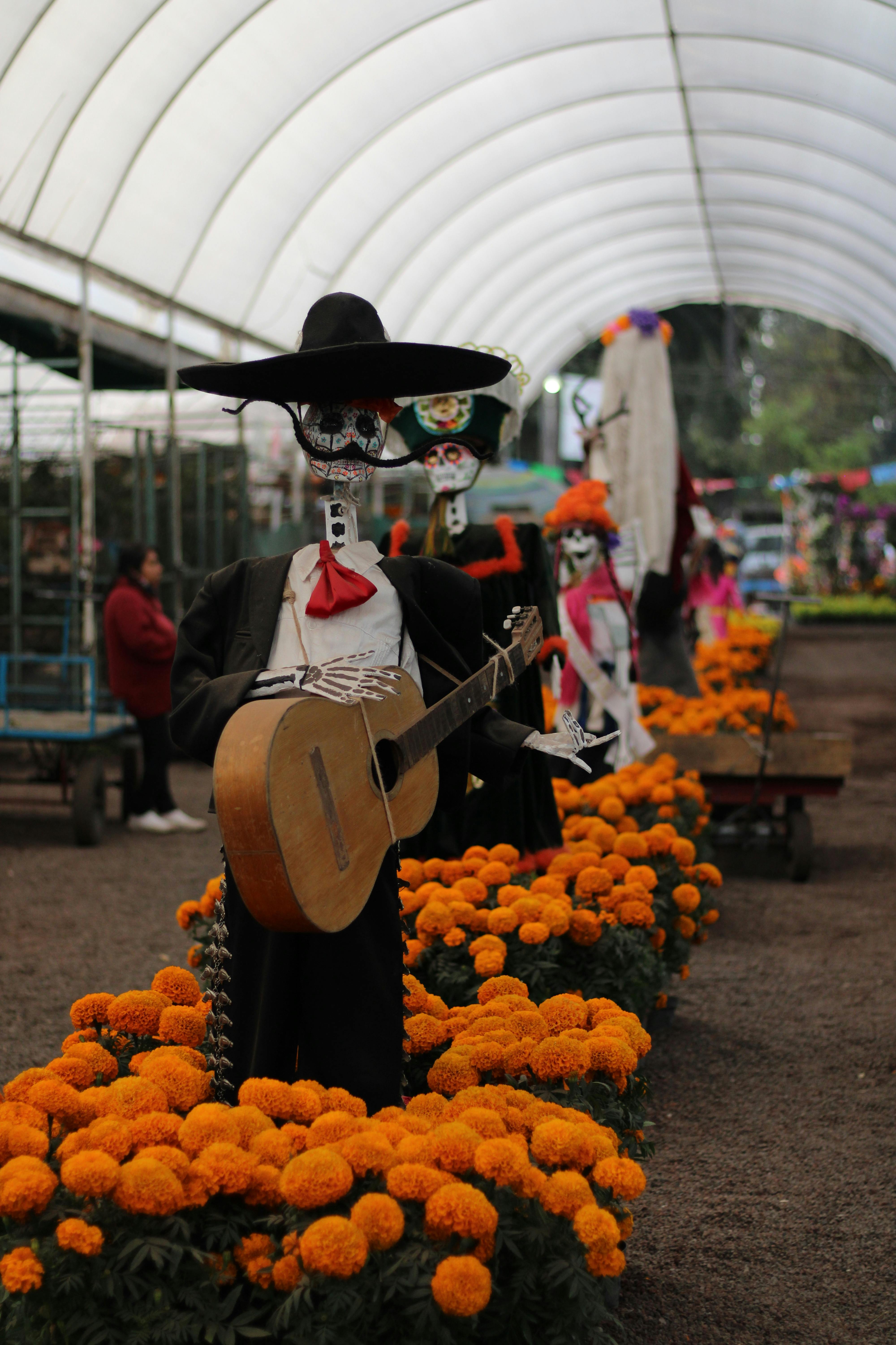 Skeletons Photos, Download The BEST Free Skeletons Stock Photos & HD Images