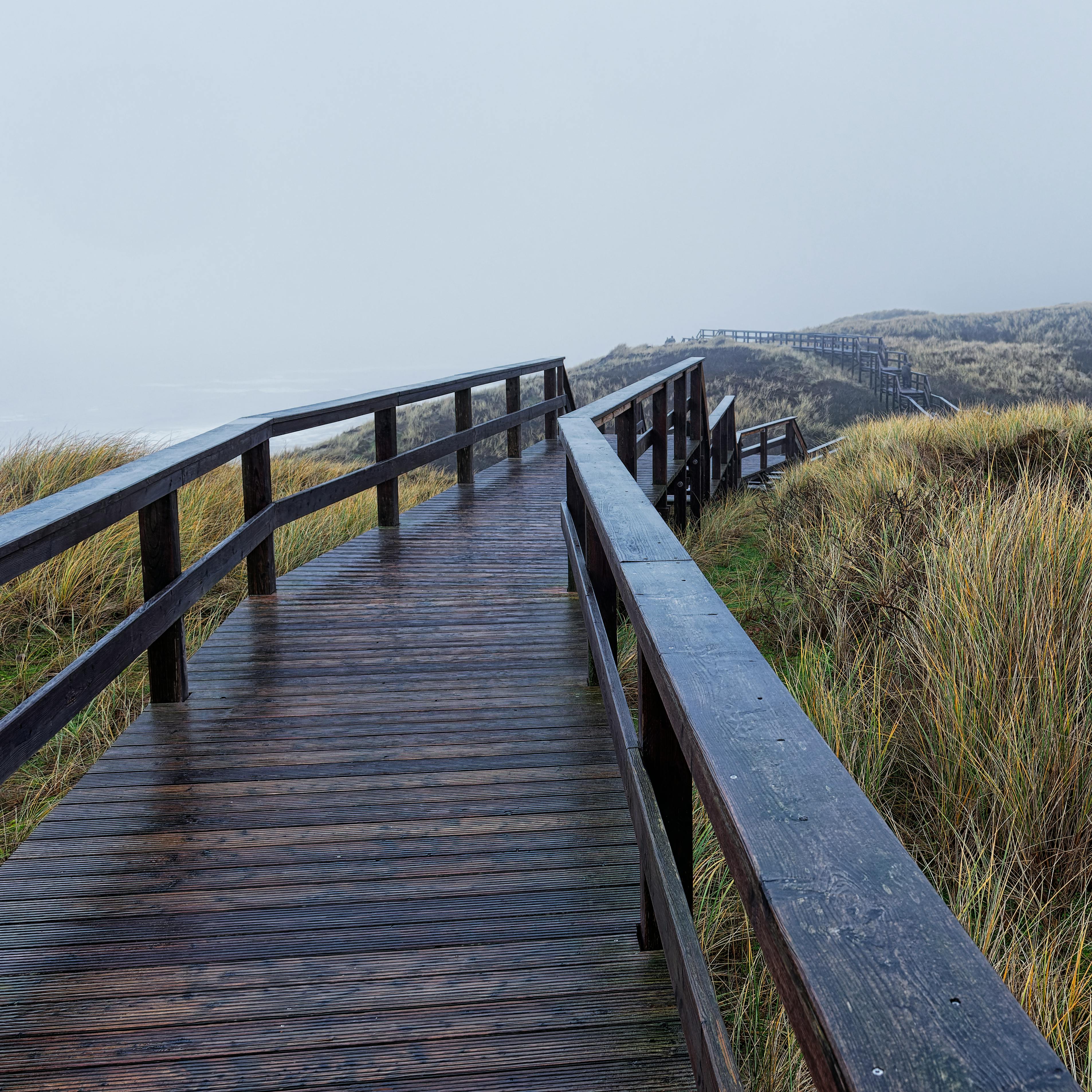 Wooden Boardwalk in Seaside · Free Stock Photo