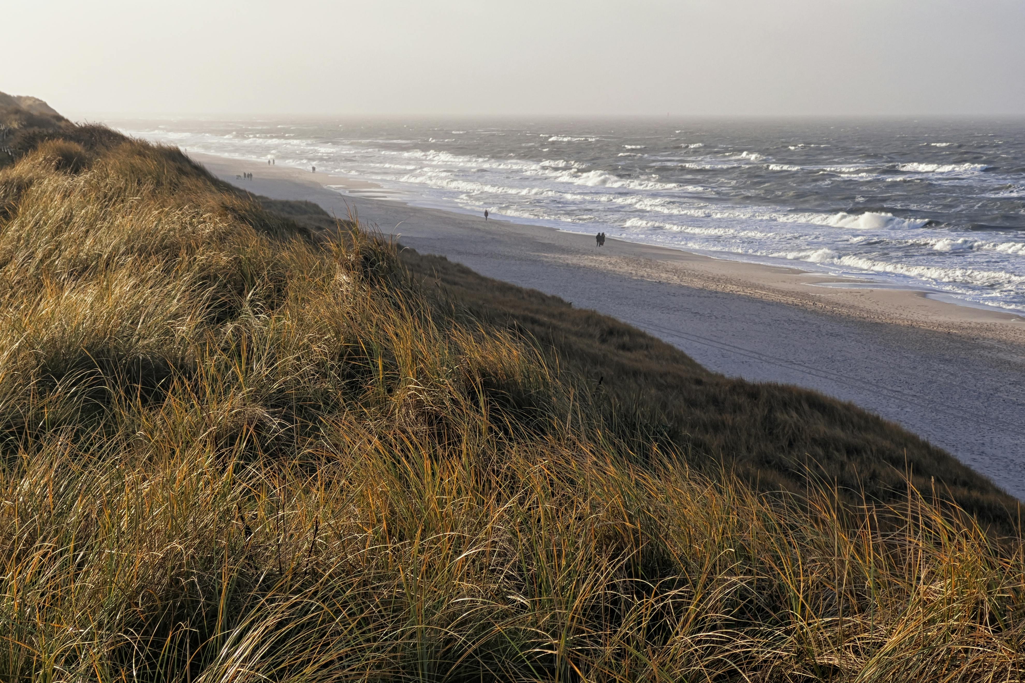 Photo of the Beach · Free Stock Photo
