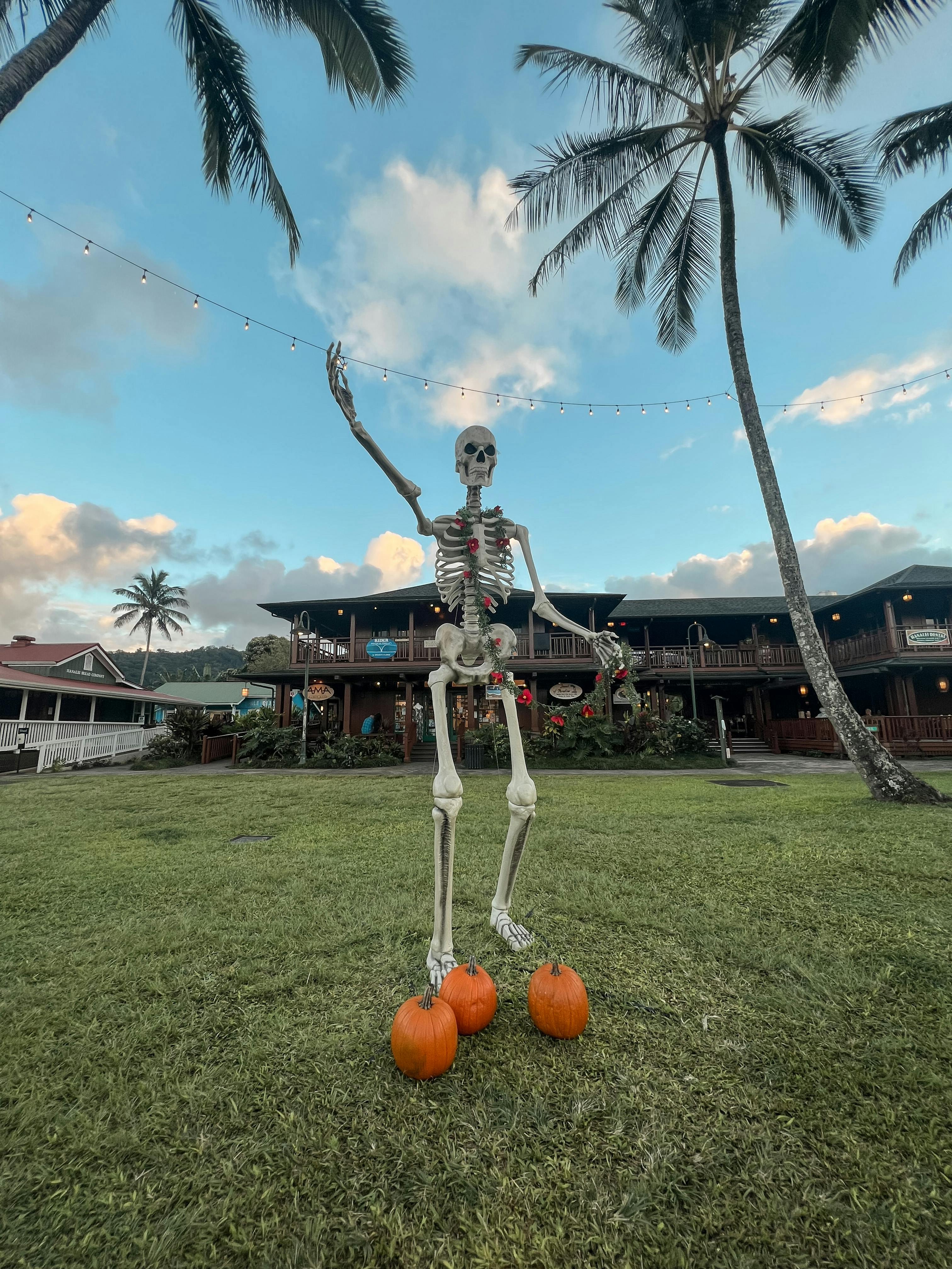 Skeleton Among Palms in a Park · Free Stock Photo
