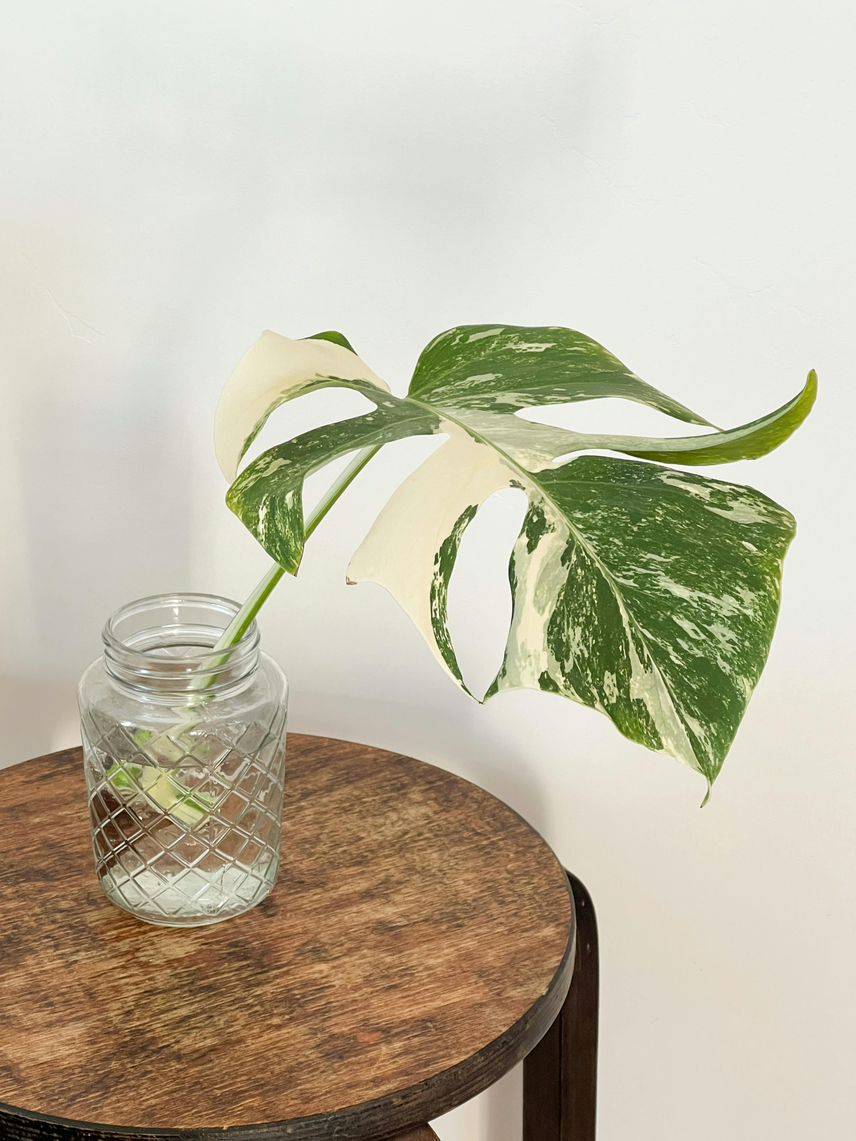 Laser Table Photos, Download The BEST Free Laser Table Stock Photos ...