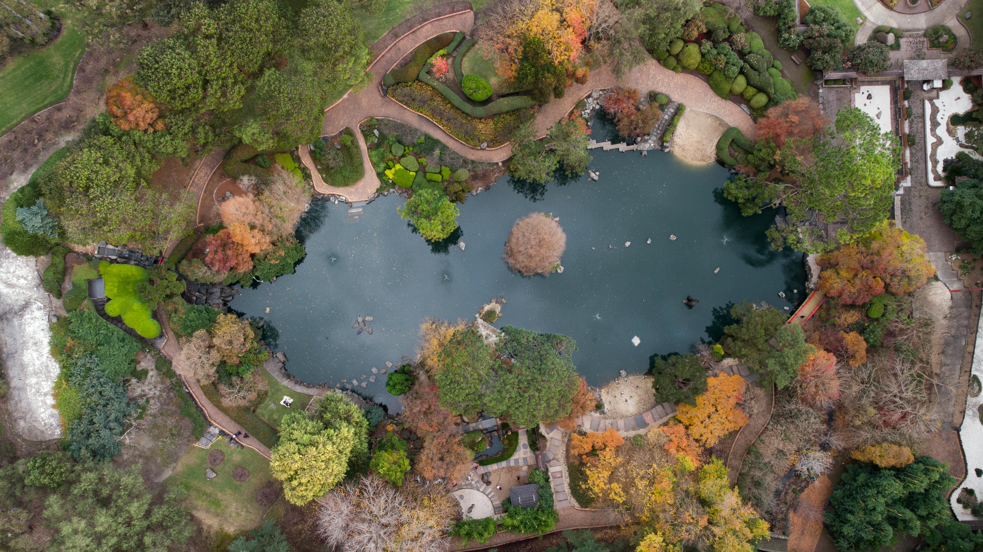 Trees around Pond in Park · Free Stock Photo
