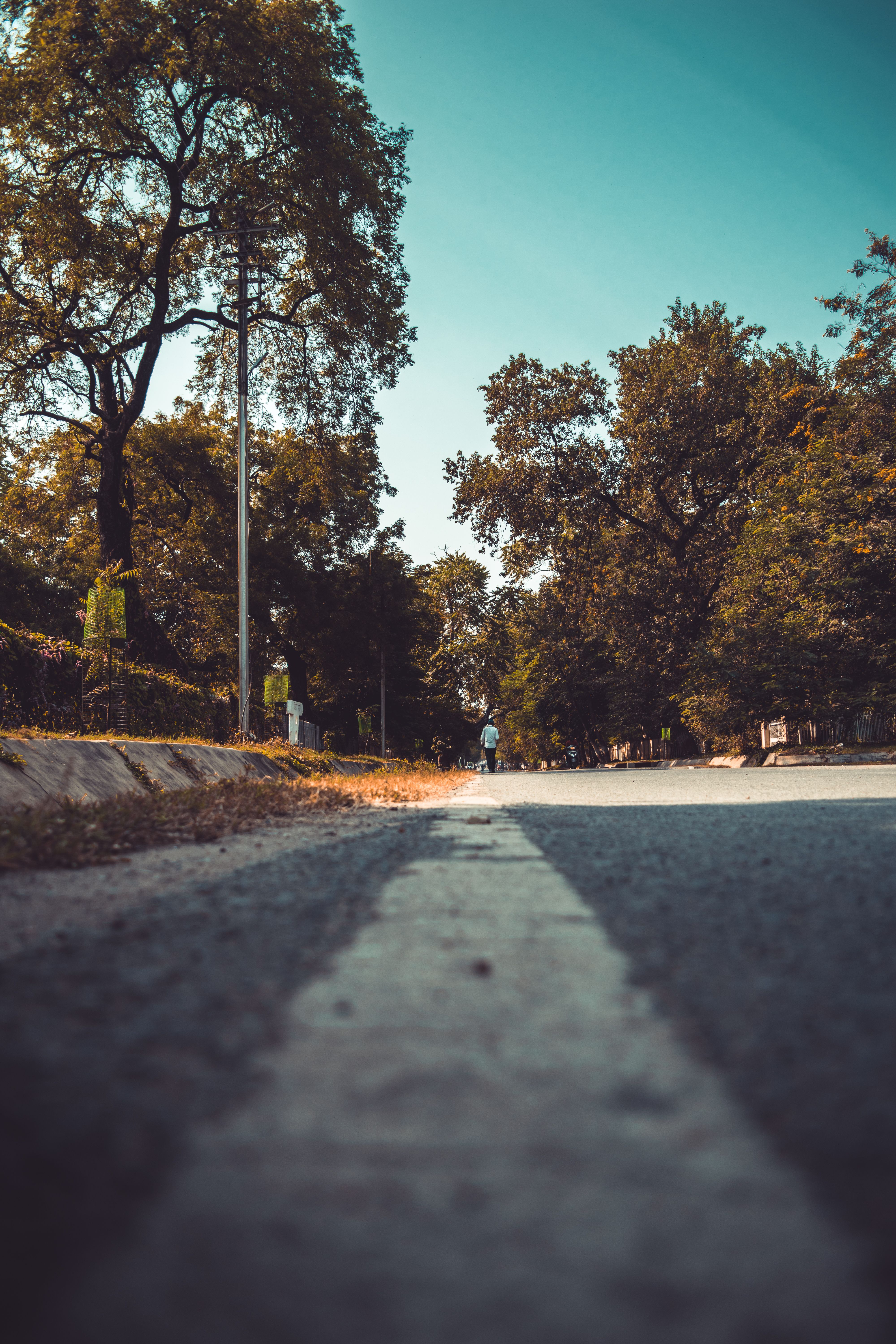 Free stock photo of perspective, road