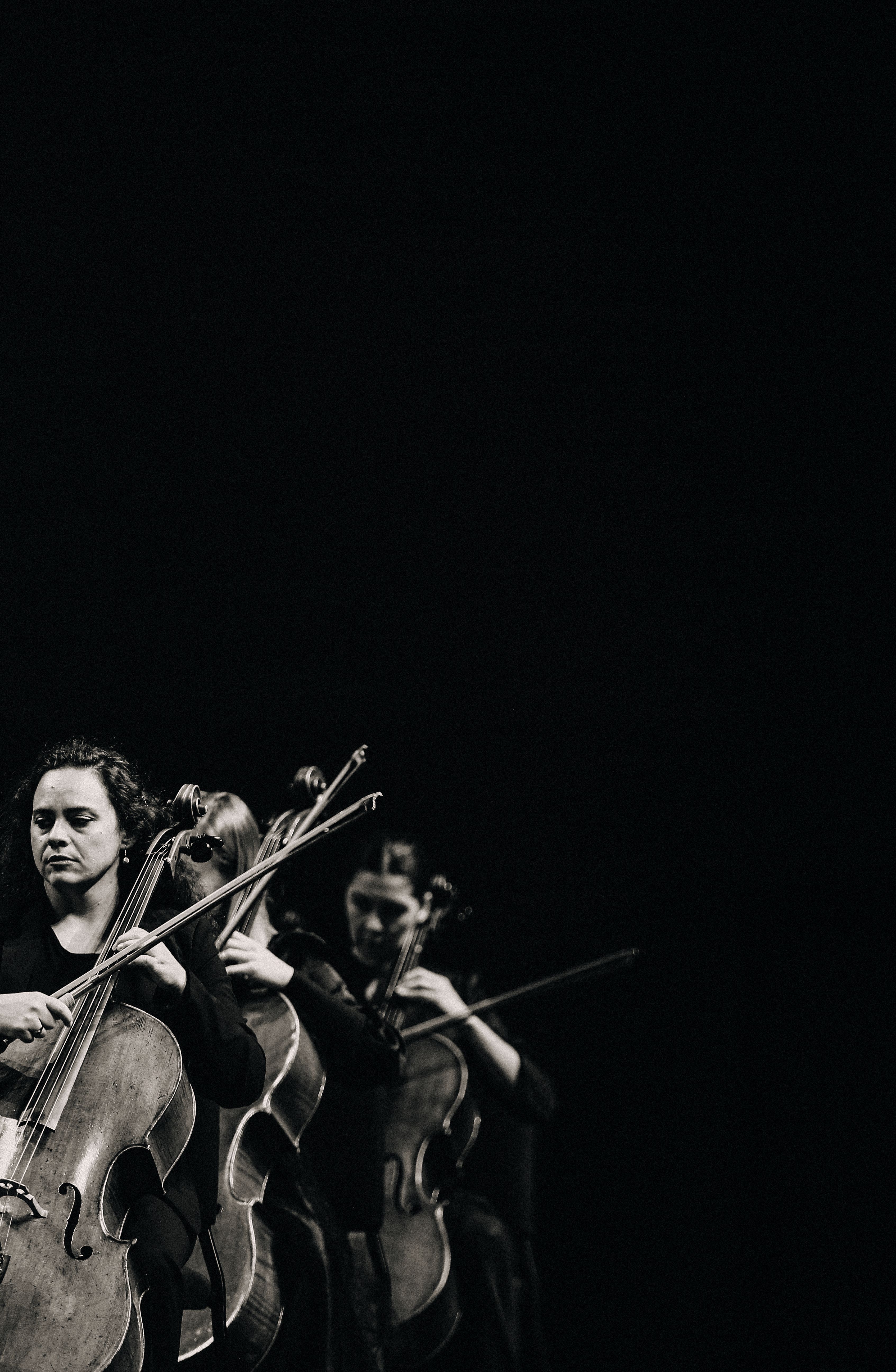 Orchestra in Black Background · Free Stock Photo