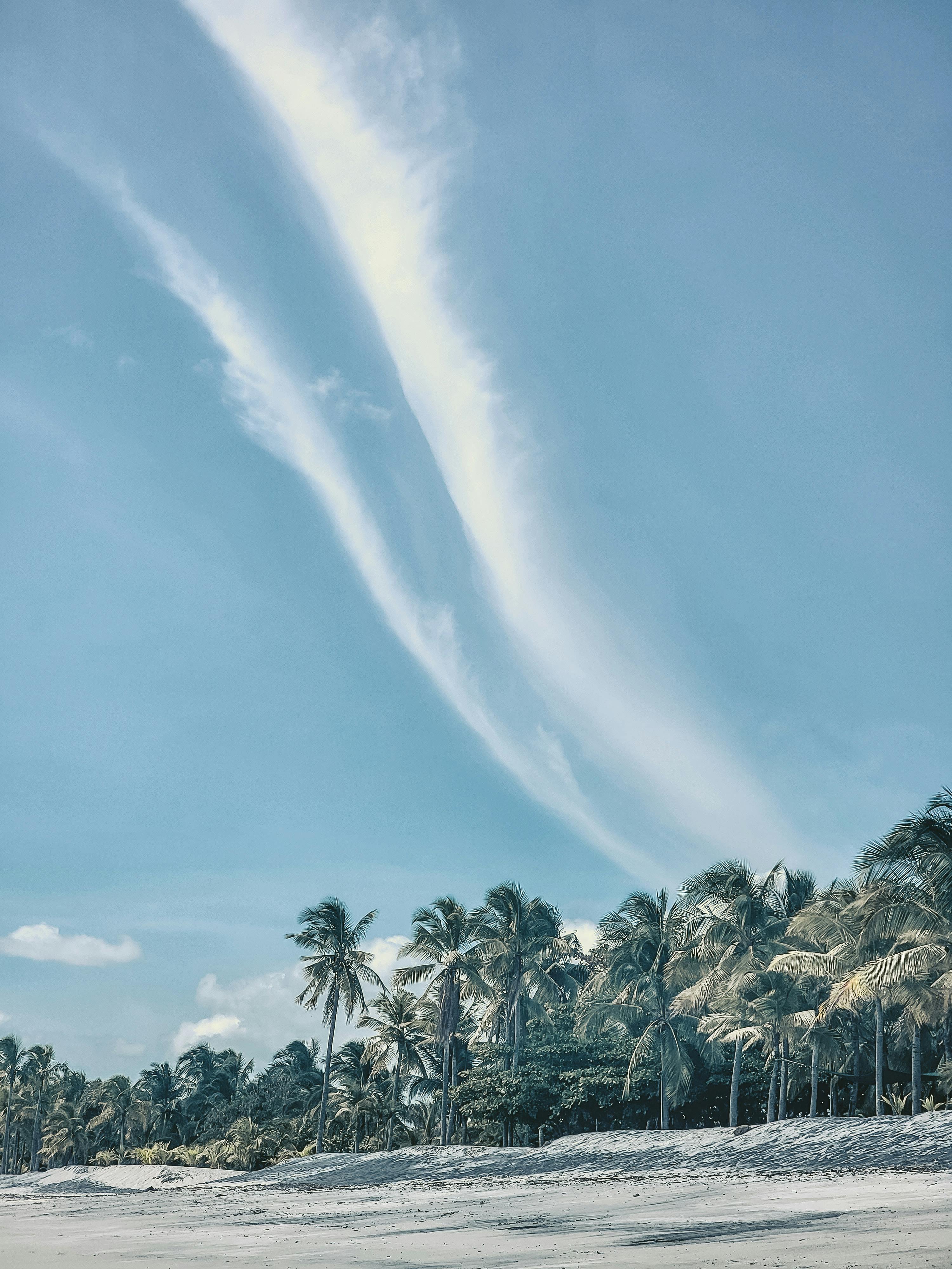 Joel Vaz - Photography