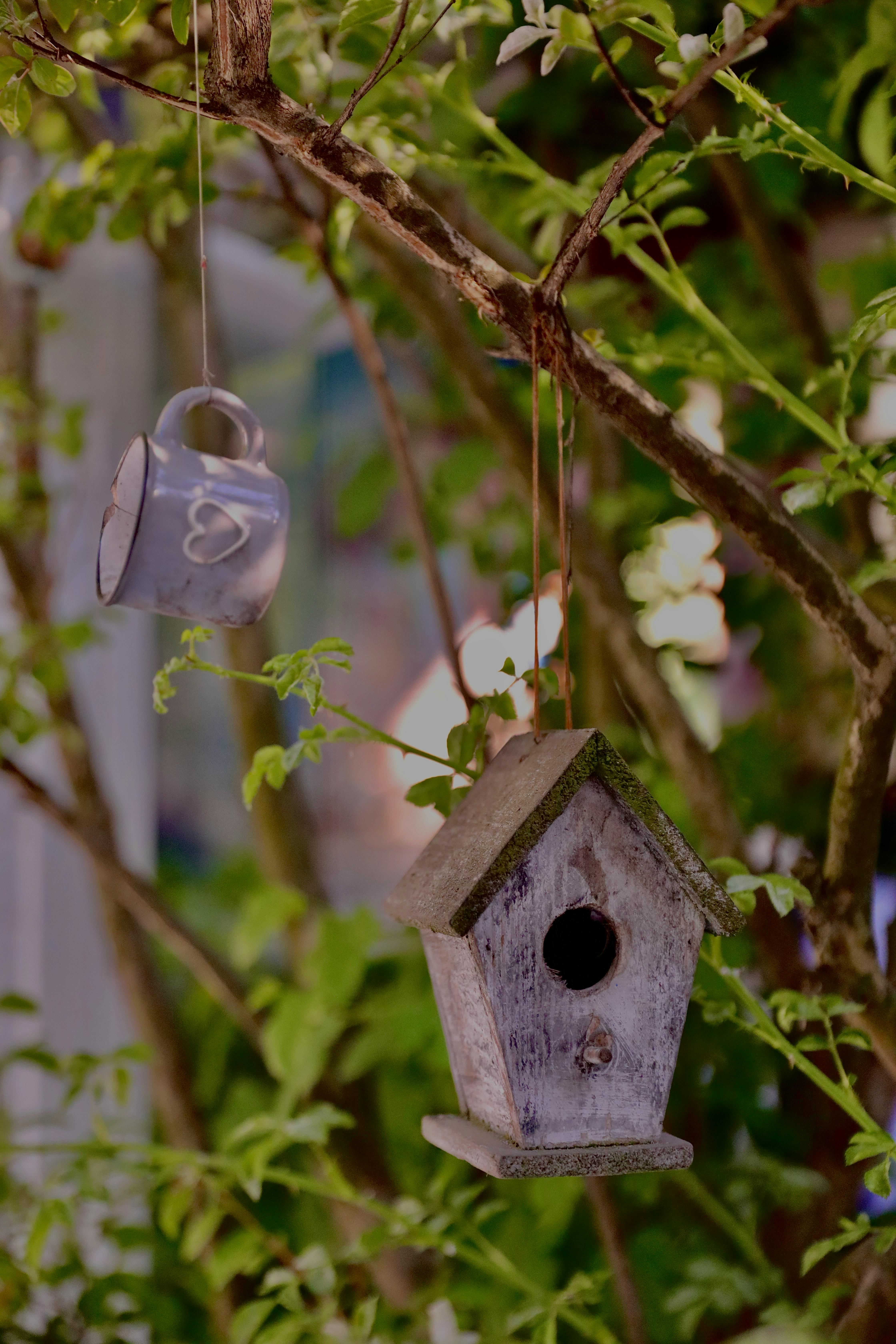 Brown Wooden Bird House Hanging on Tree · Free Stock Photo