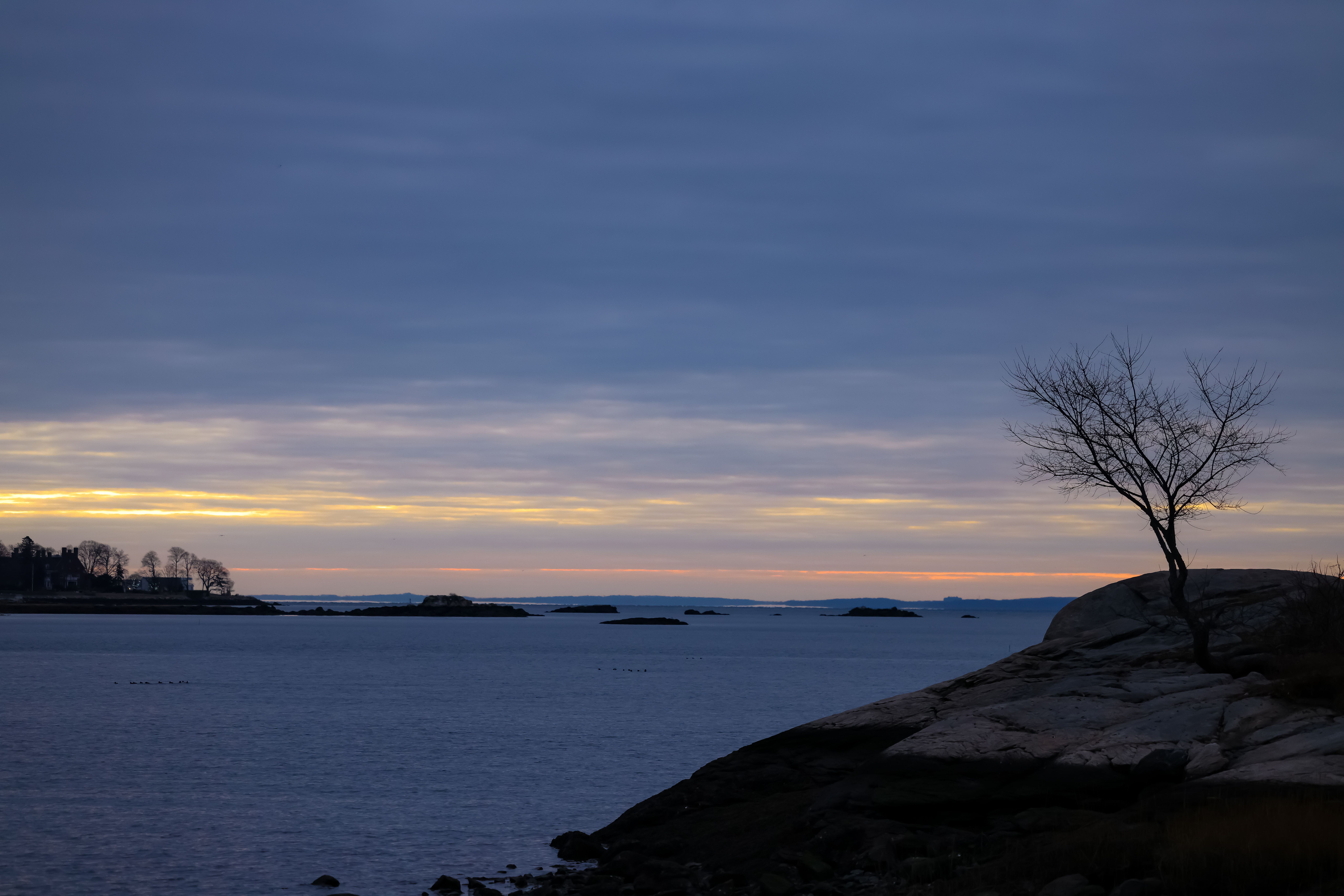 Lakeshore at Sunset · Free Stock Photo