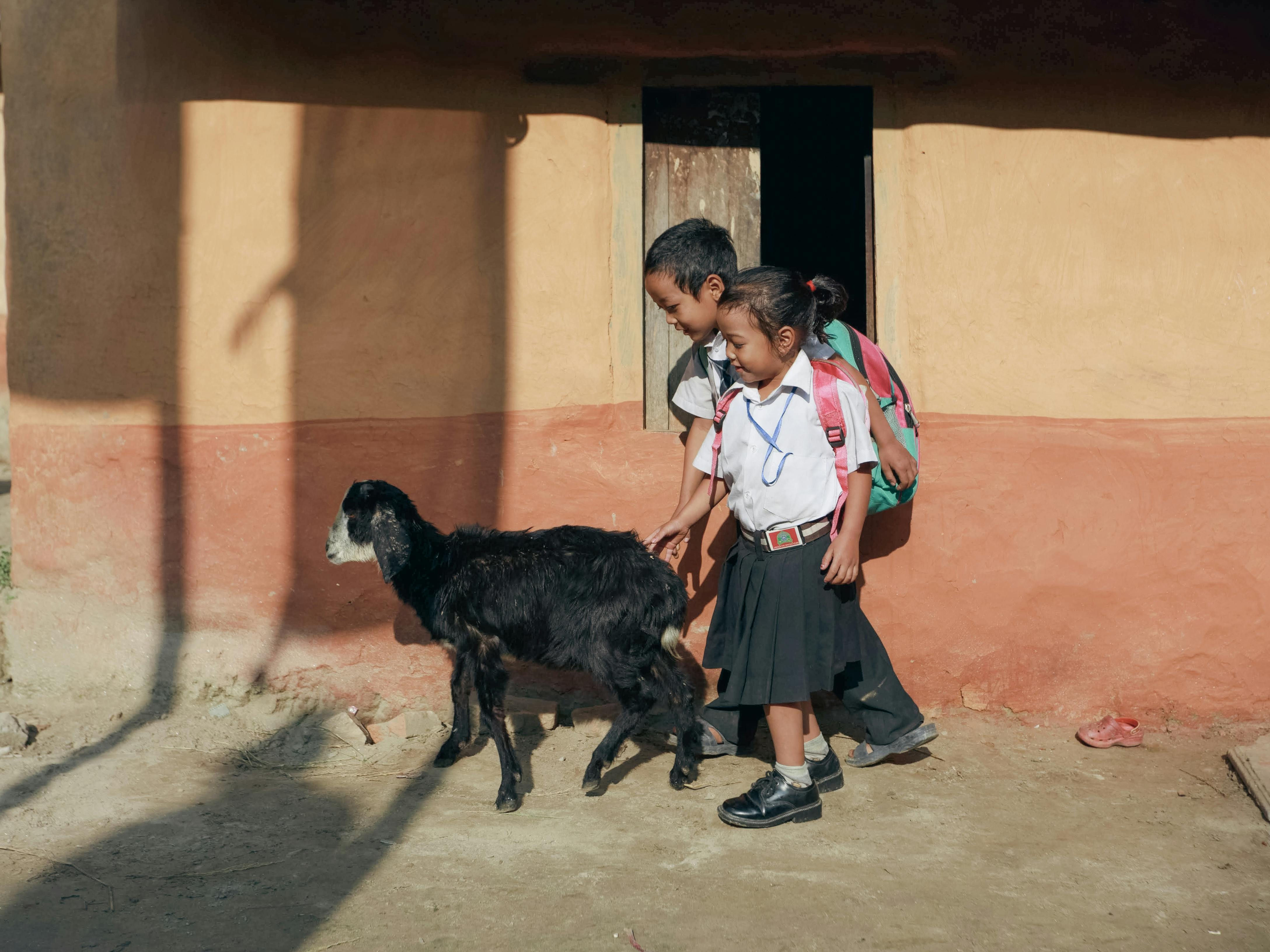 Children with Goat Kid · Free Stock Photo