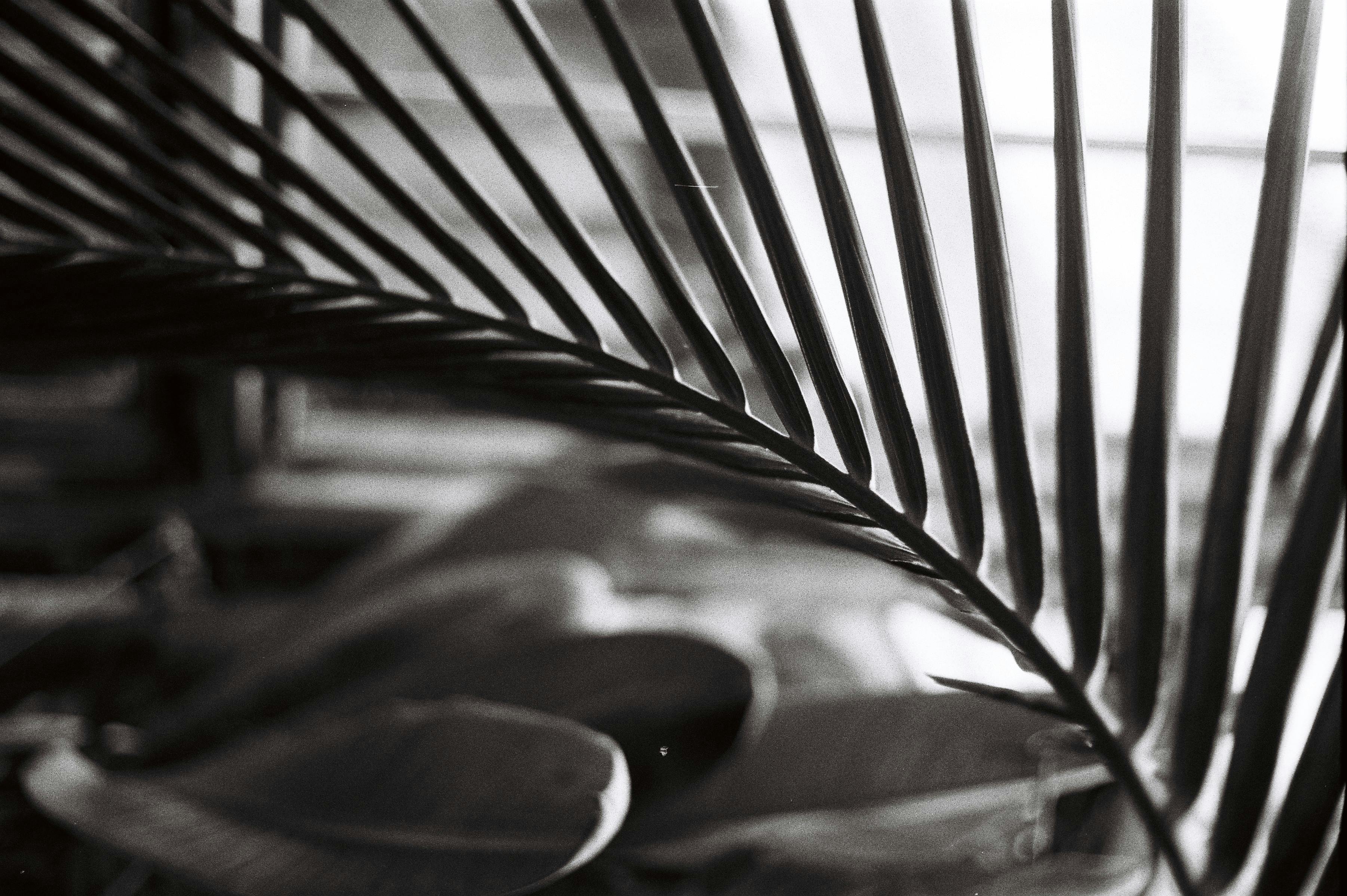 Brs Photos, Download The BEST Free Brs Stock Photos & HD Images