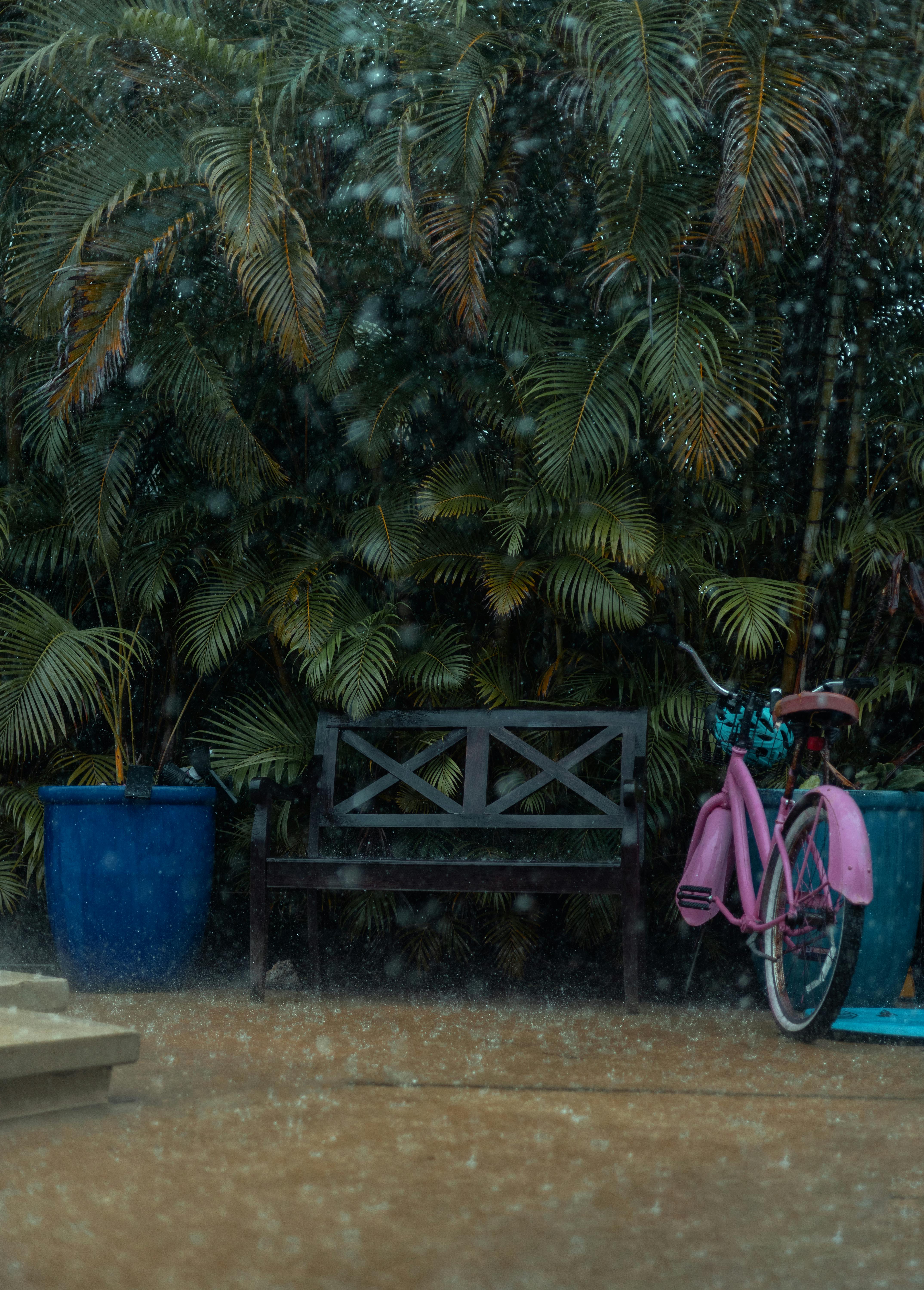 Bike In Rain Photos, Download The BEST Free Bike In Rain Stock Photos ...