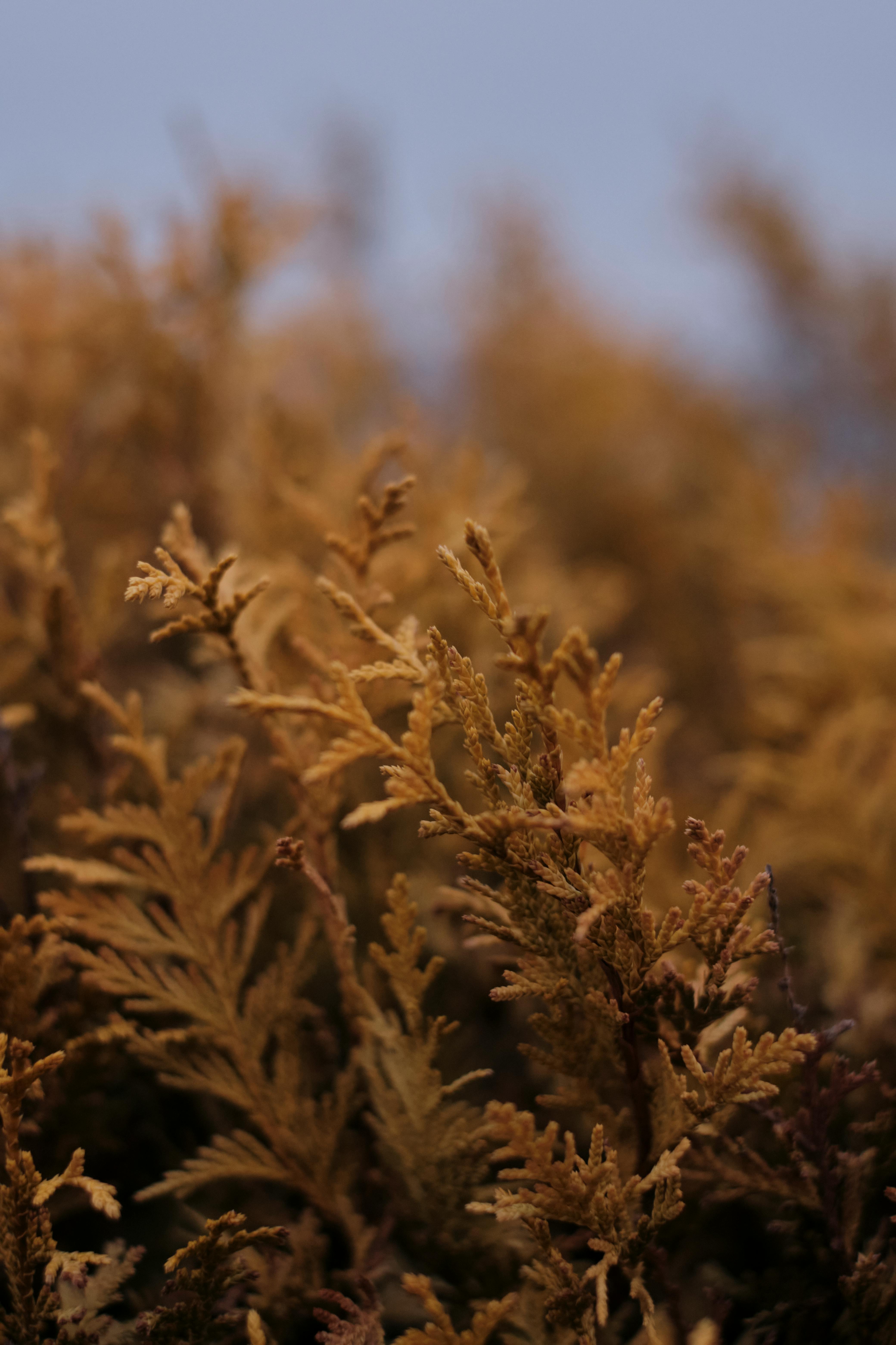 Yellow Nature Photos, Download The BEST Free Yellow Nature Stock Photos ...