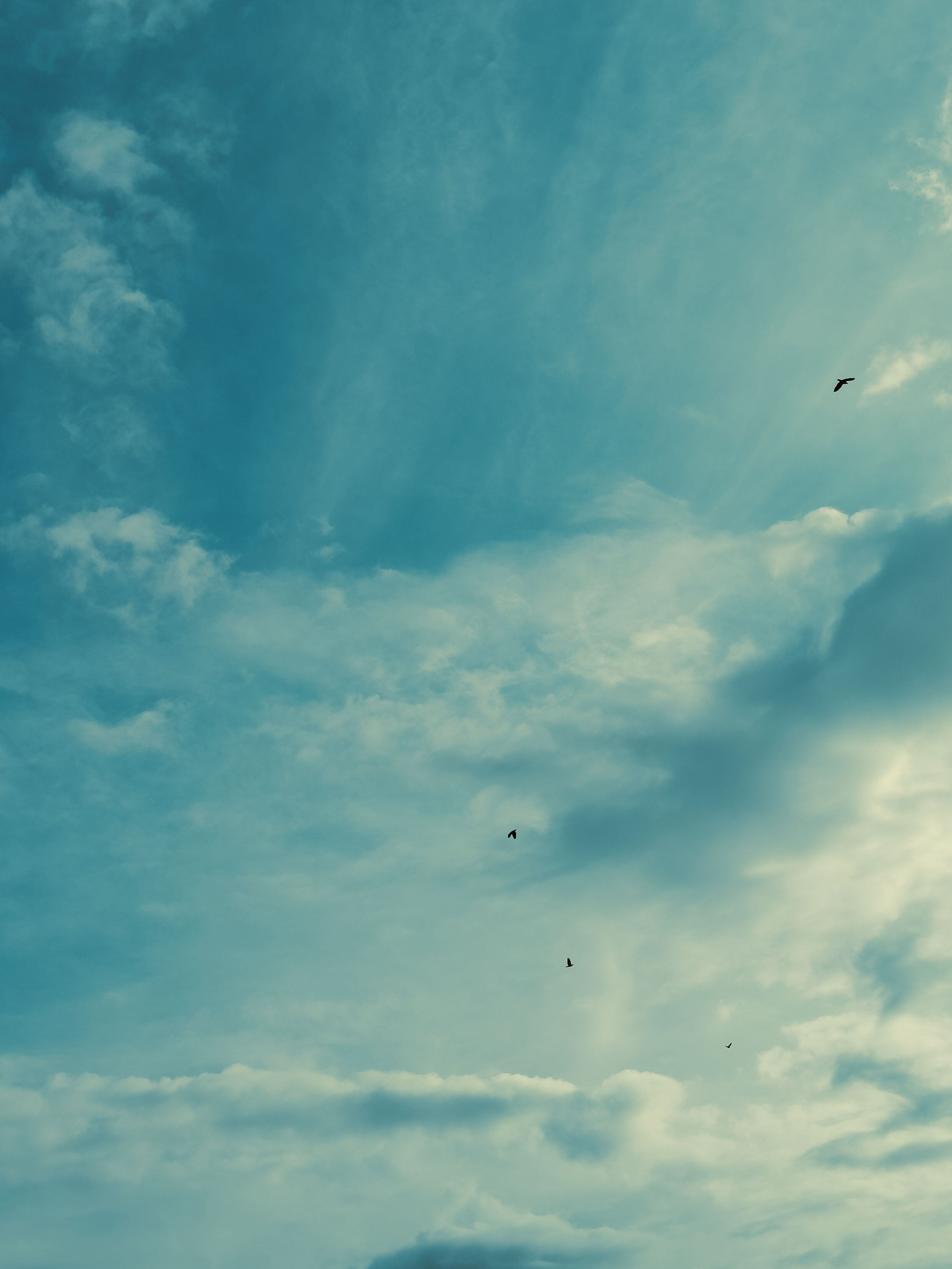 Foto profissional gratuita de 4k, ao ar livre, arejado, atmosfera, azul ...