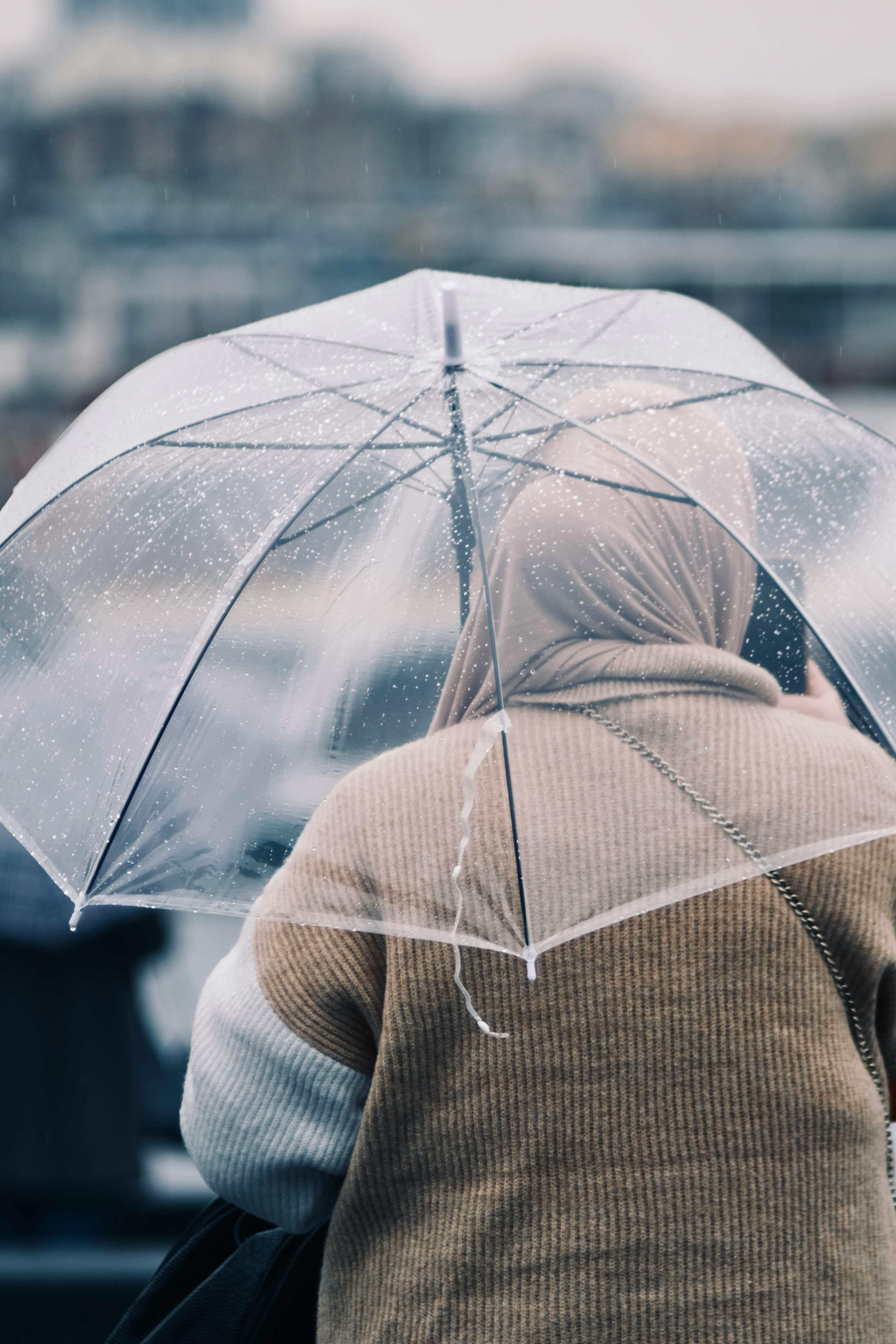 Back View of a Person in Brown Jacket Holding an Umbrella · Free Stock ...