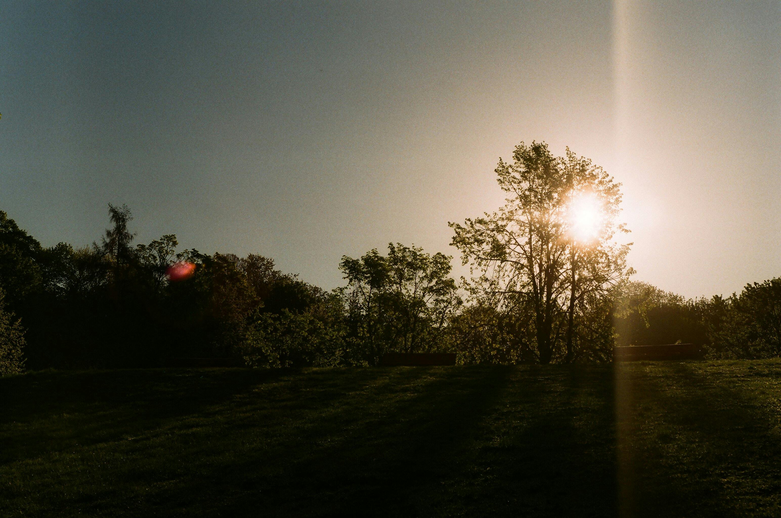 Sun Nature Photos, Download The BEST Free Sun Nature Stock Photos & HD ...