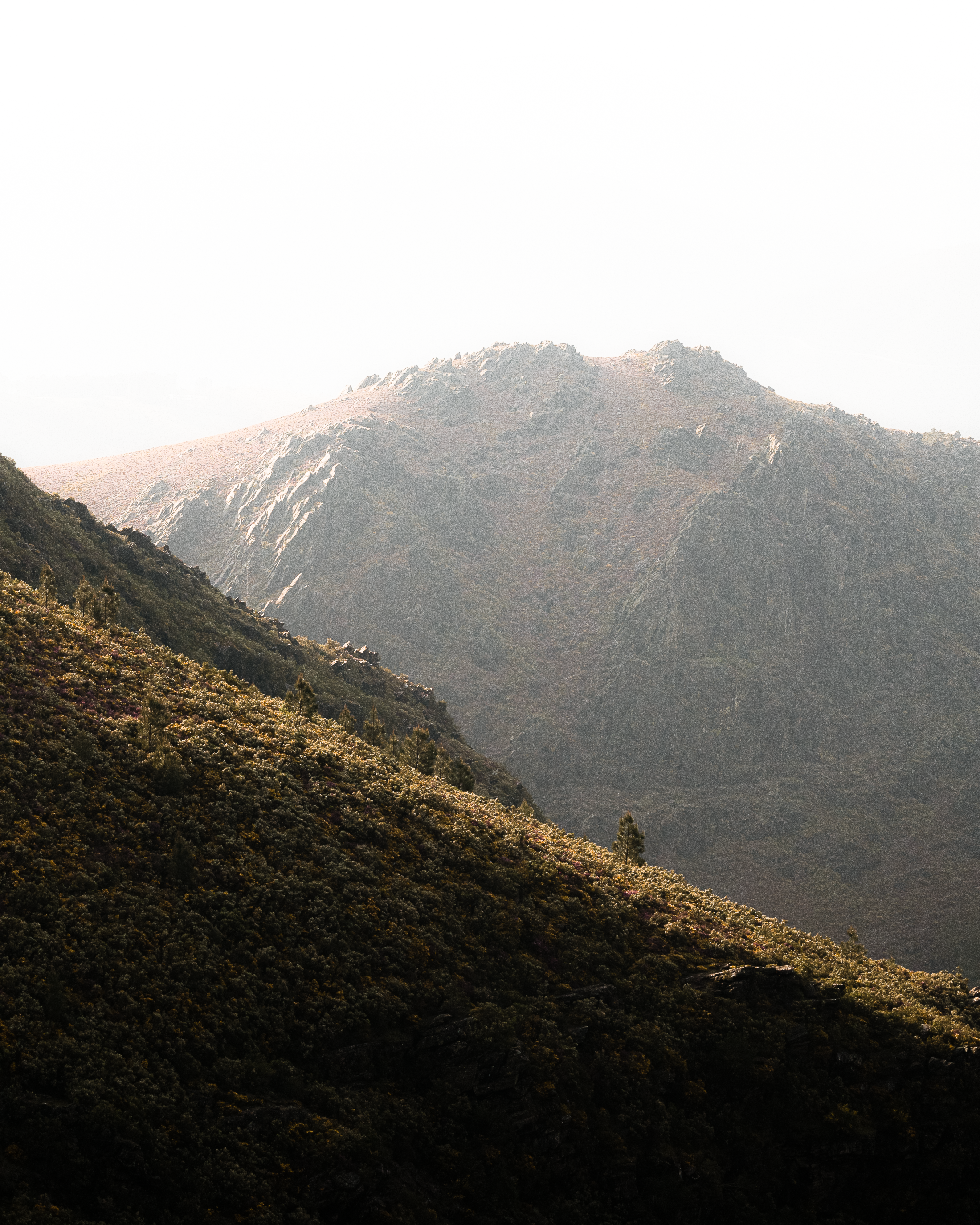 Real Colorful Natural Landscape Mountains Photos, Download The BEST ...