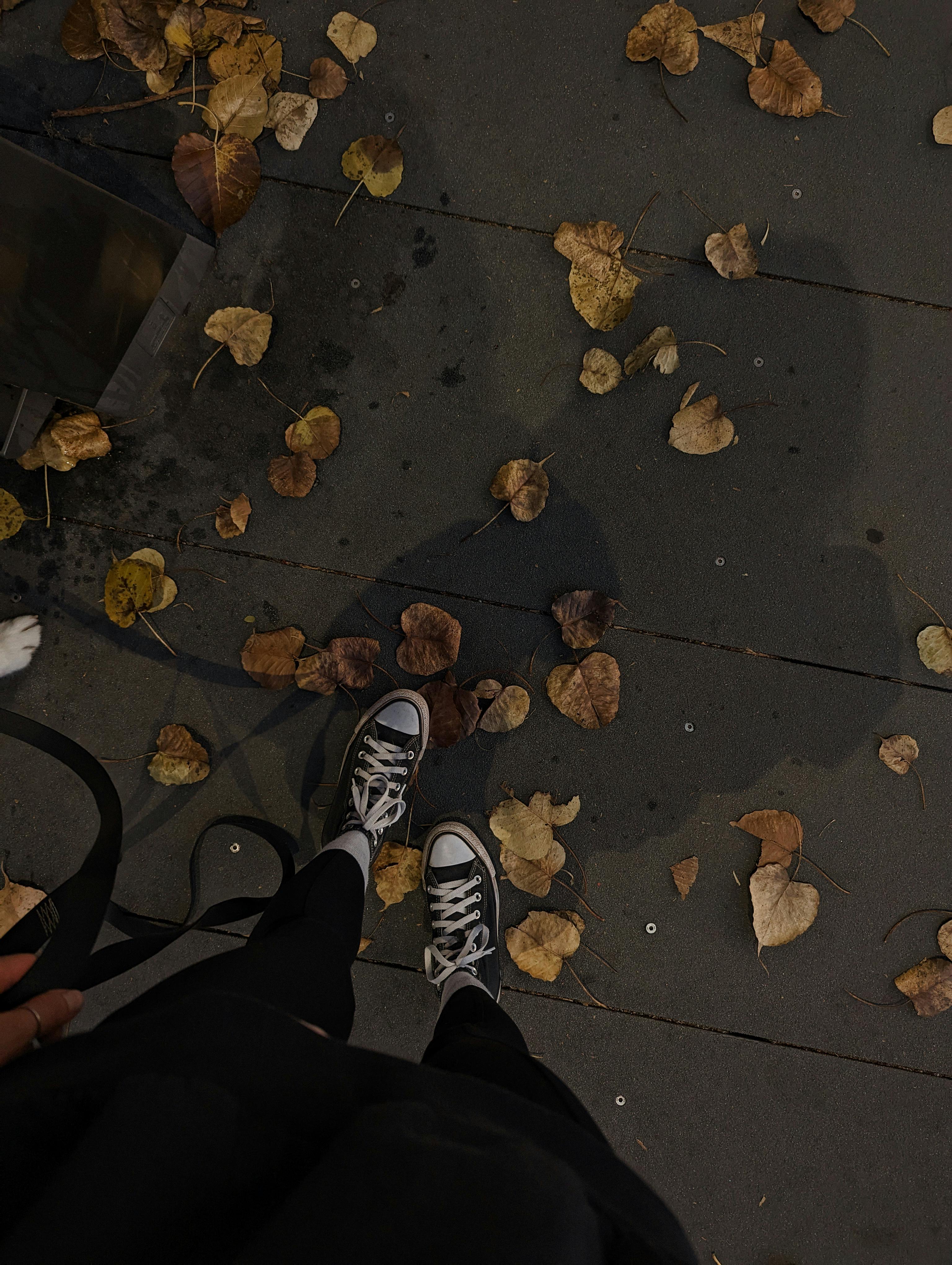 Top 100 Villains Photos, Download The BEST Free Top 100 Villains Stock ...