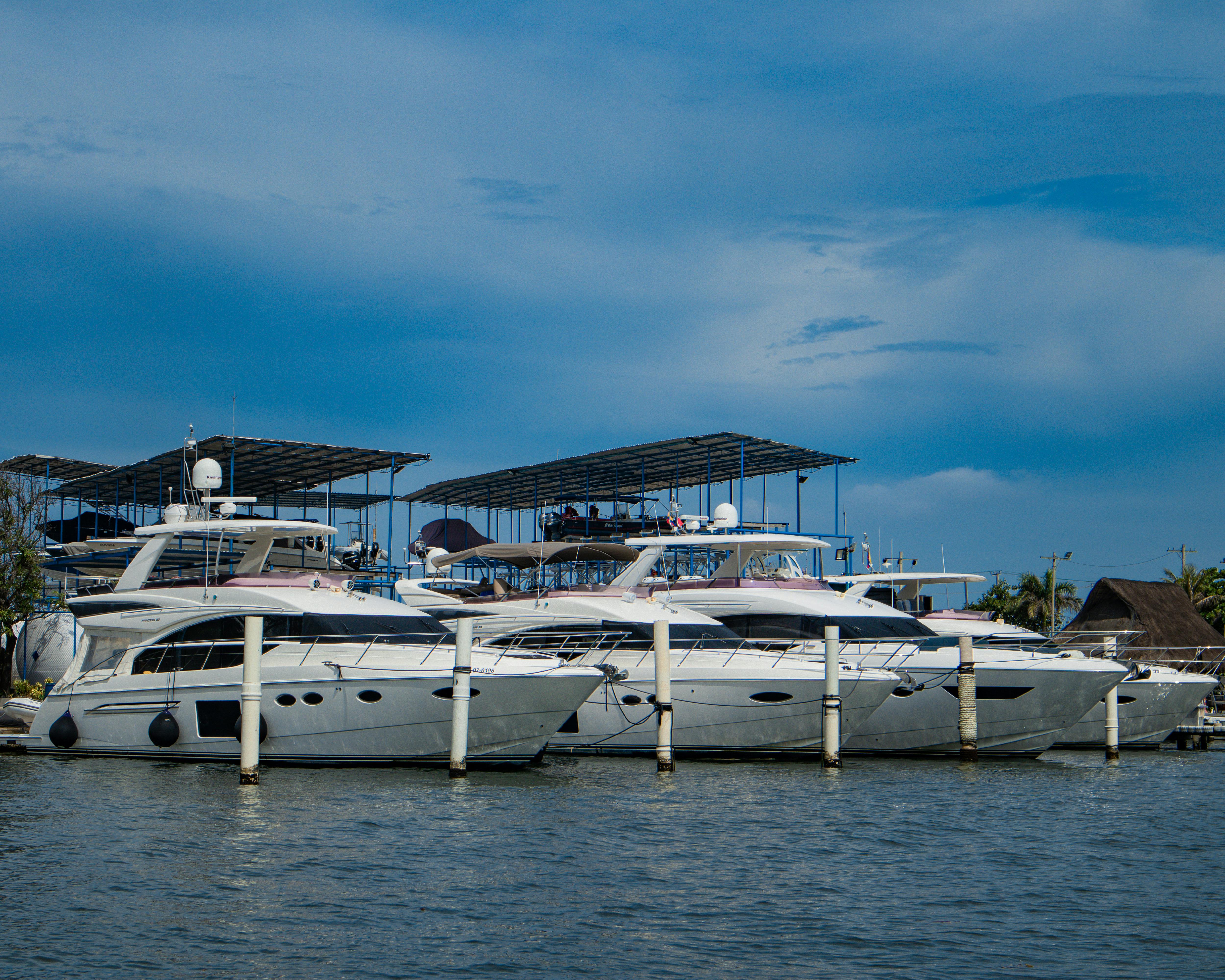 Yachts on the Water · Free Stock Photo
