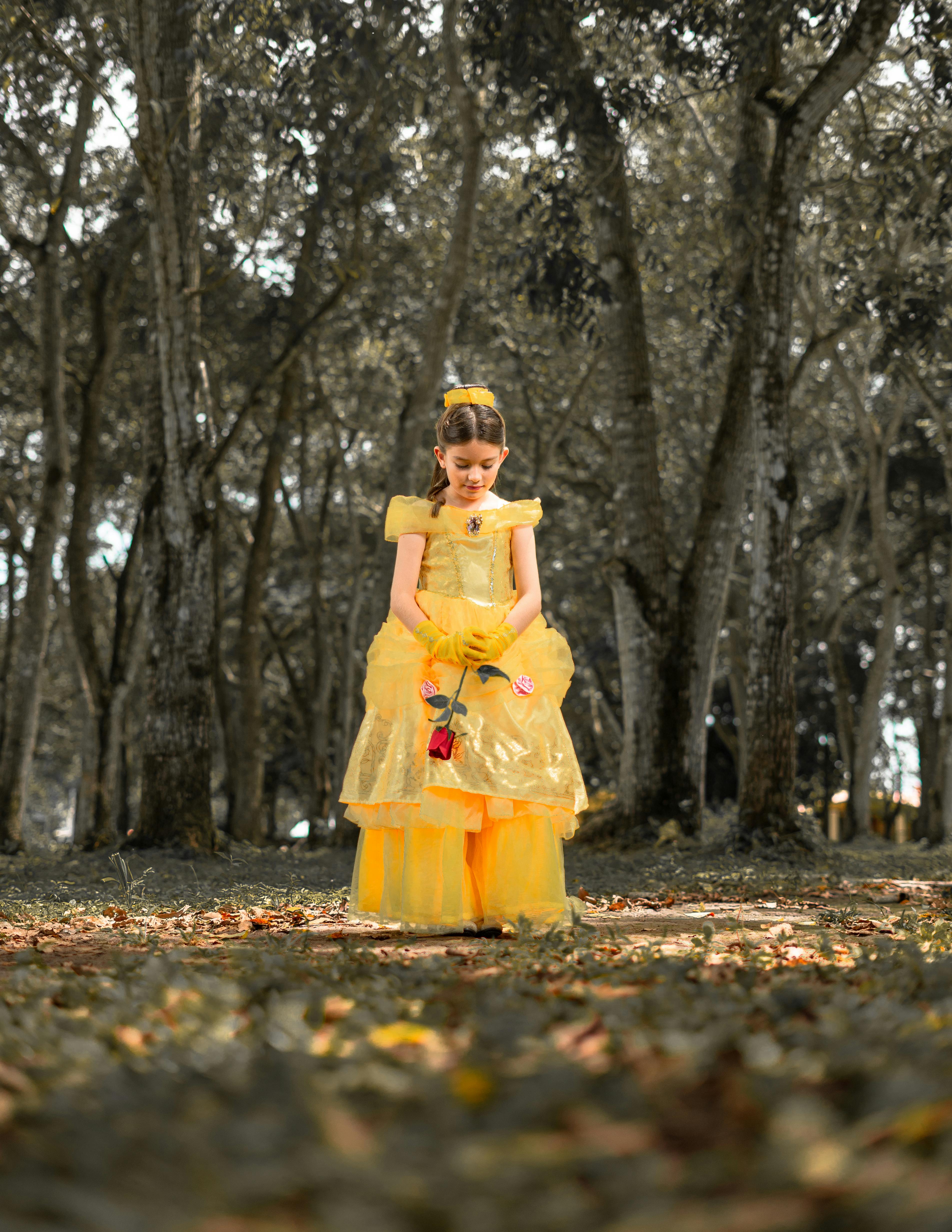 Princess Dina Photos, Download The BEST Free Princess Dina Stock Photos & HD Images