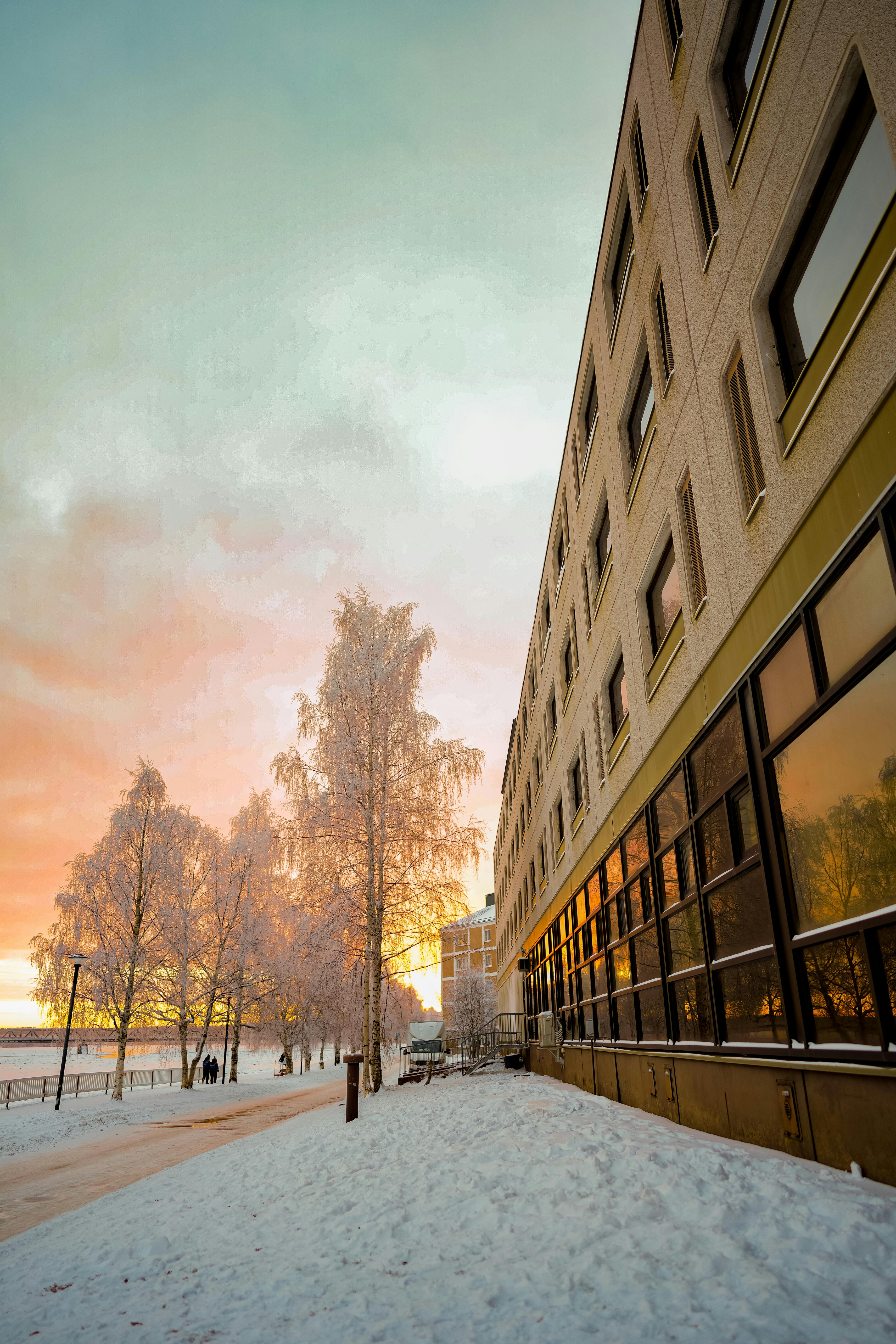 Snow Covered Sidewalk Beside a Building · Free Stock Photo