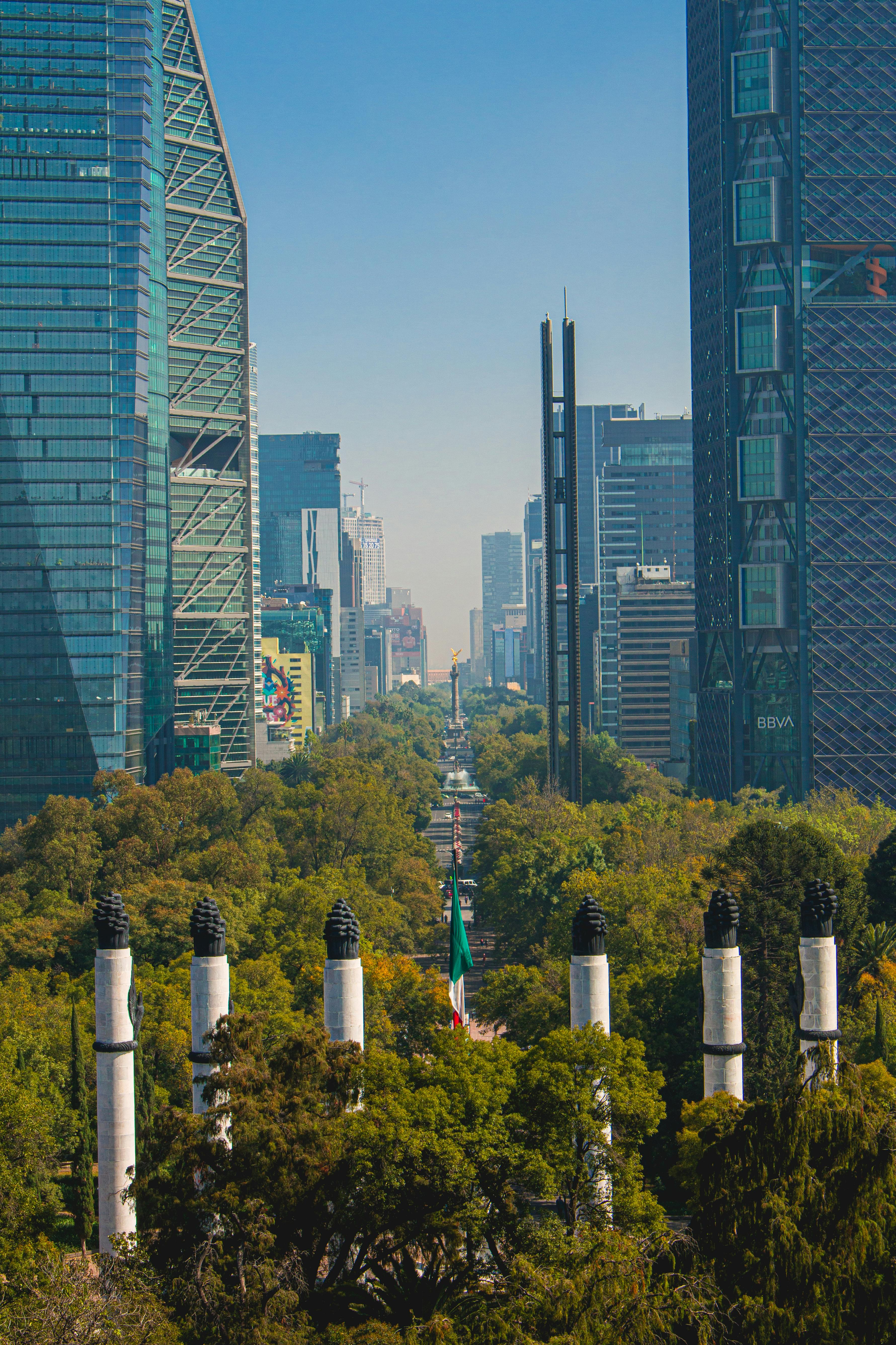 Green Trees Beside City Buildings · Free Stock Photo
