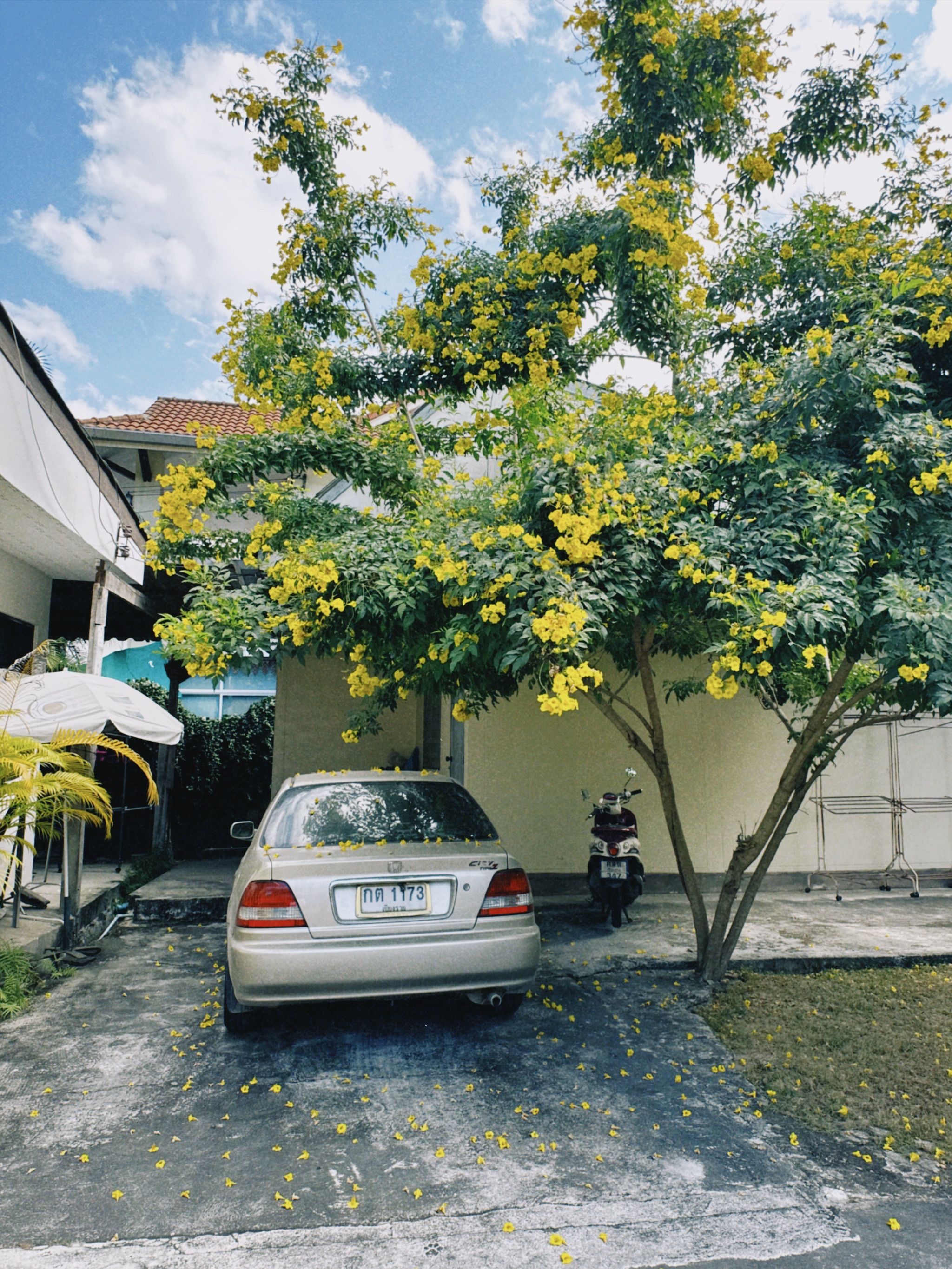 Car and Scooter Parked Under a Tree · Free Stock Photo