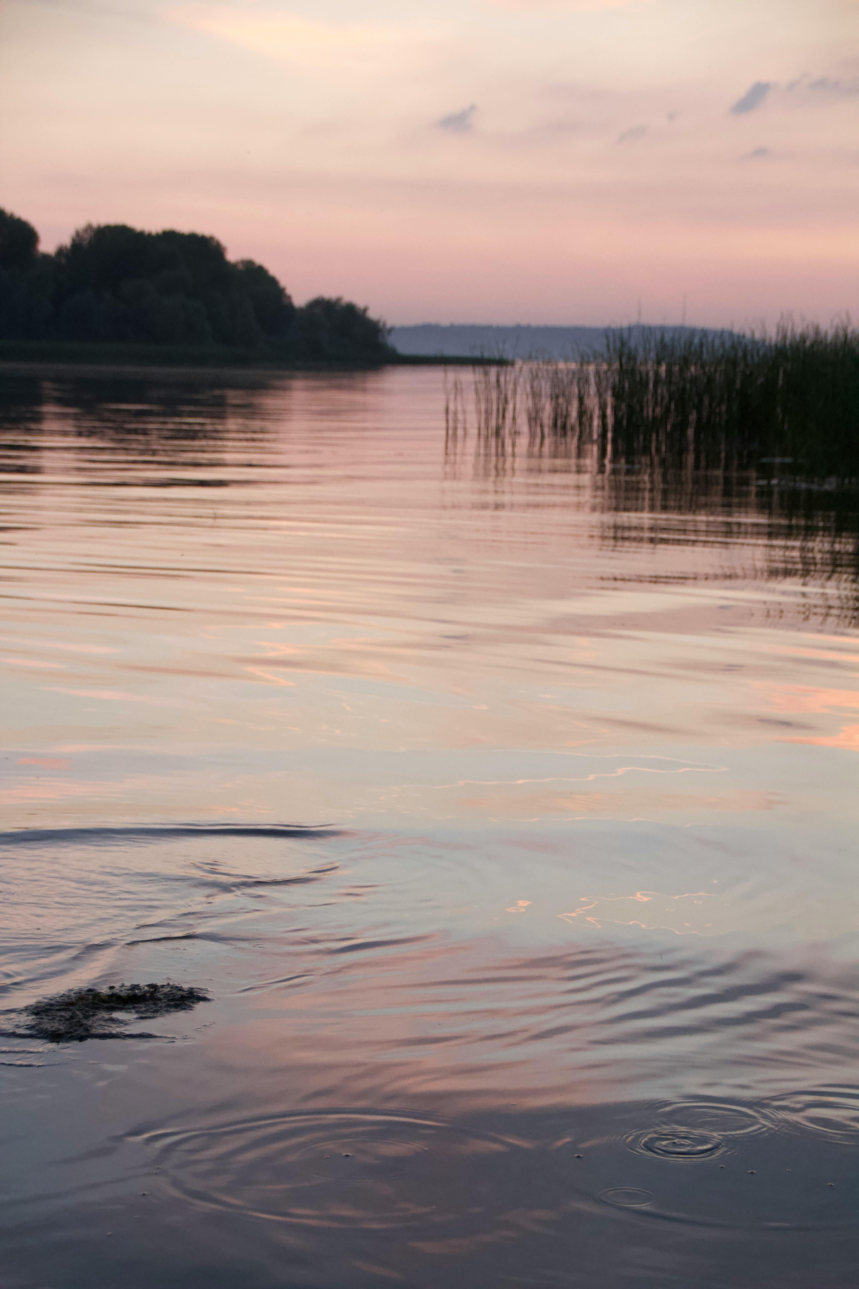 Calm Water on Lakeshore · Free Stock Photo