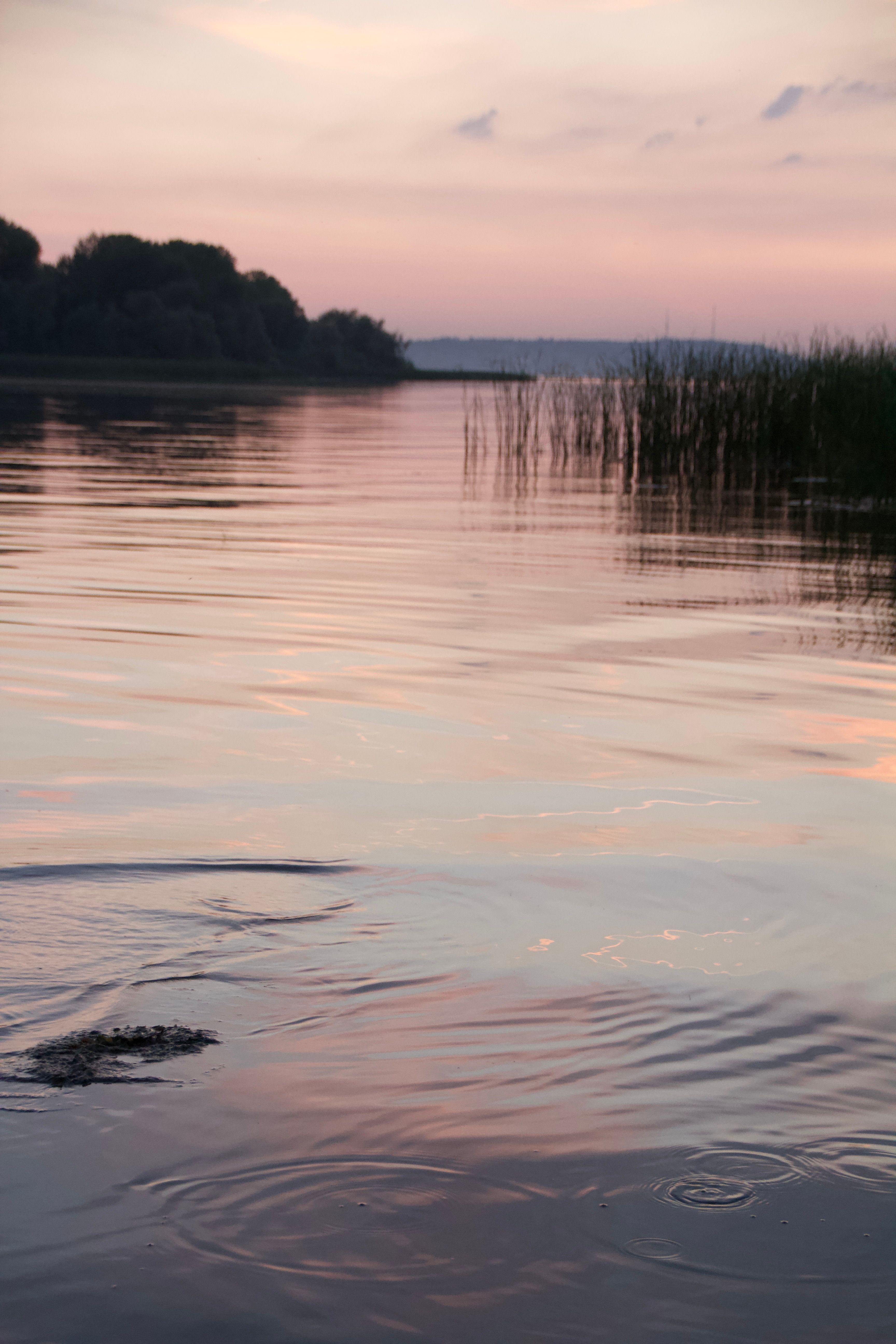 Peaceful Lakeshore Photos, Download The BEST Free Peaceful Lakeshore ...