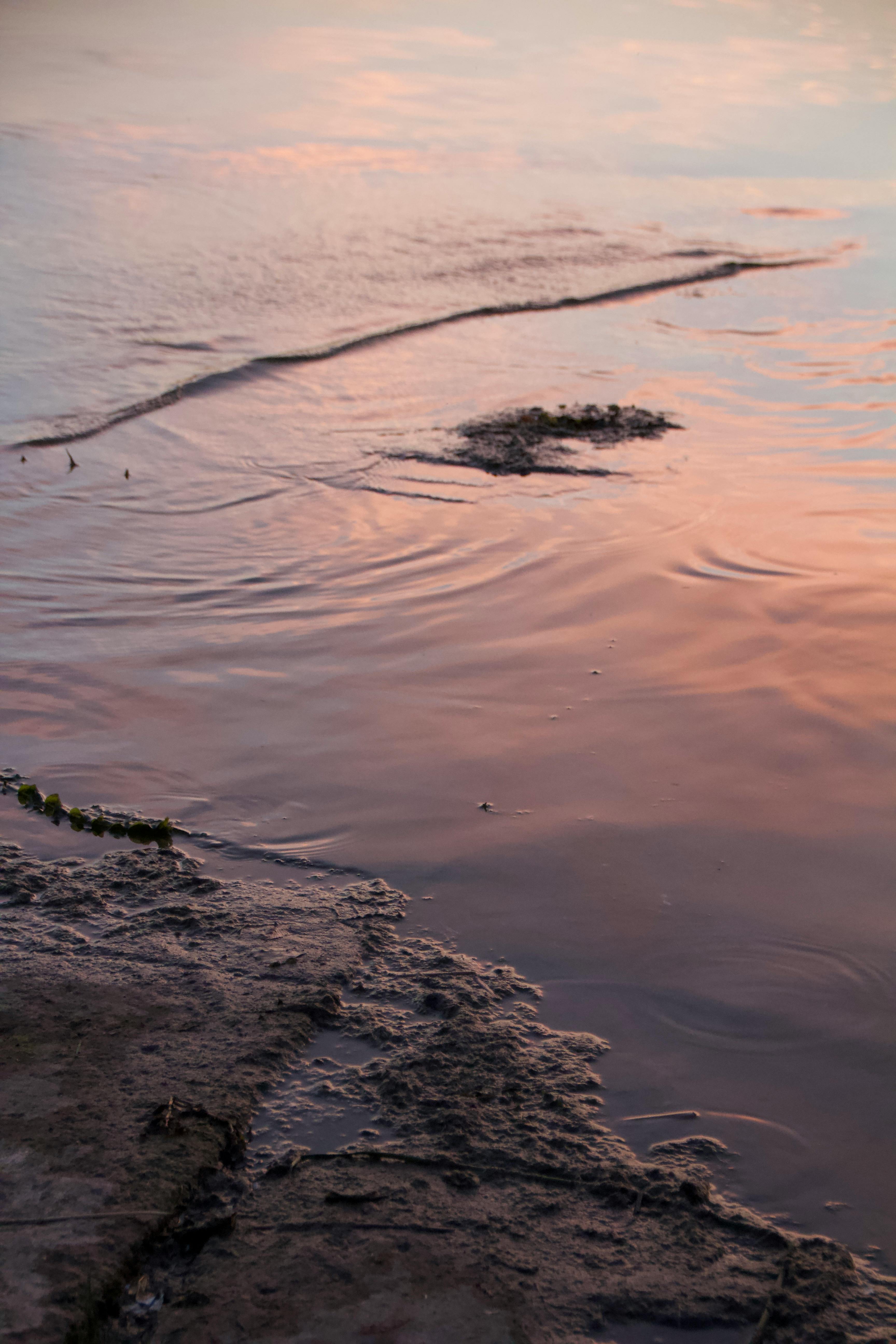 Sand on Lakeshore at Dawn · Free Stock Photo
