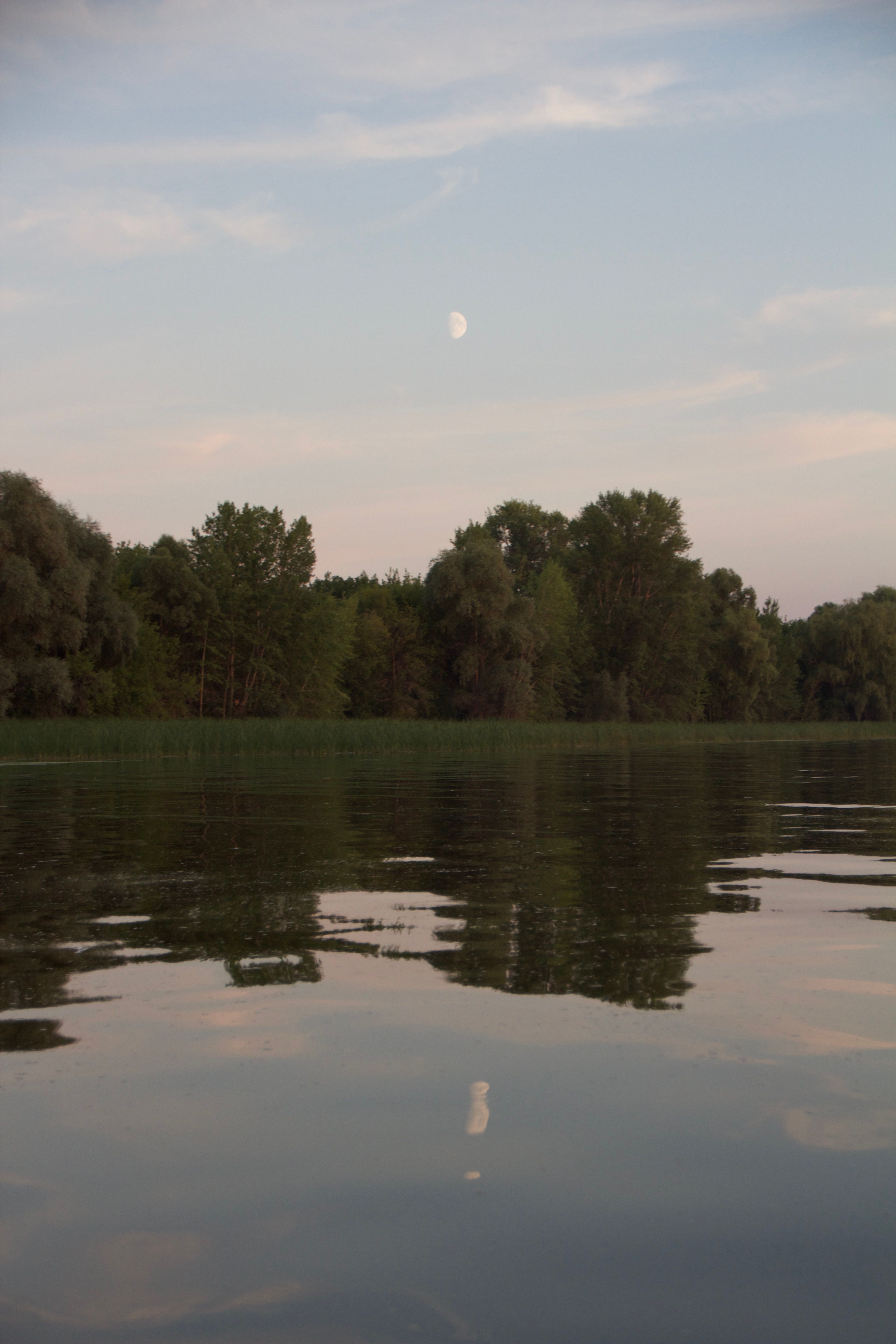Moon in Sky over Lake · Free Stock Photo
