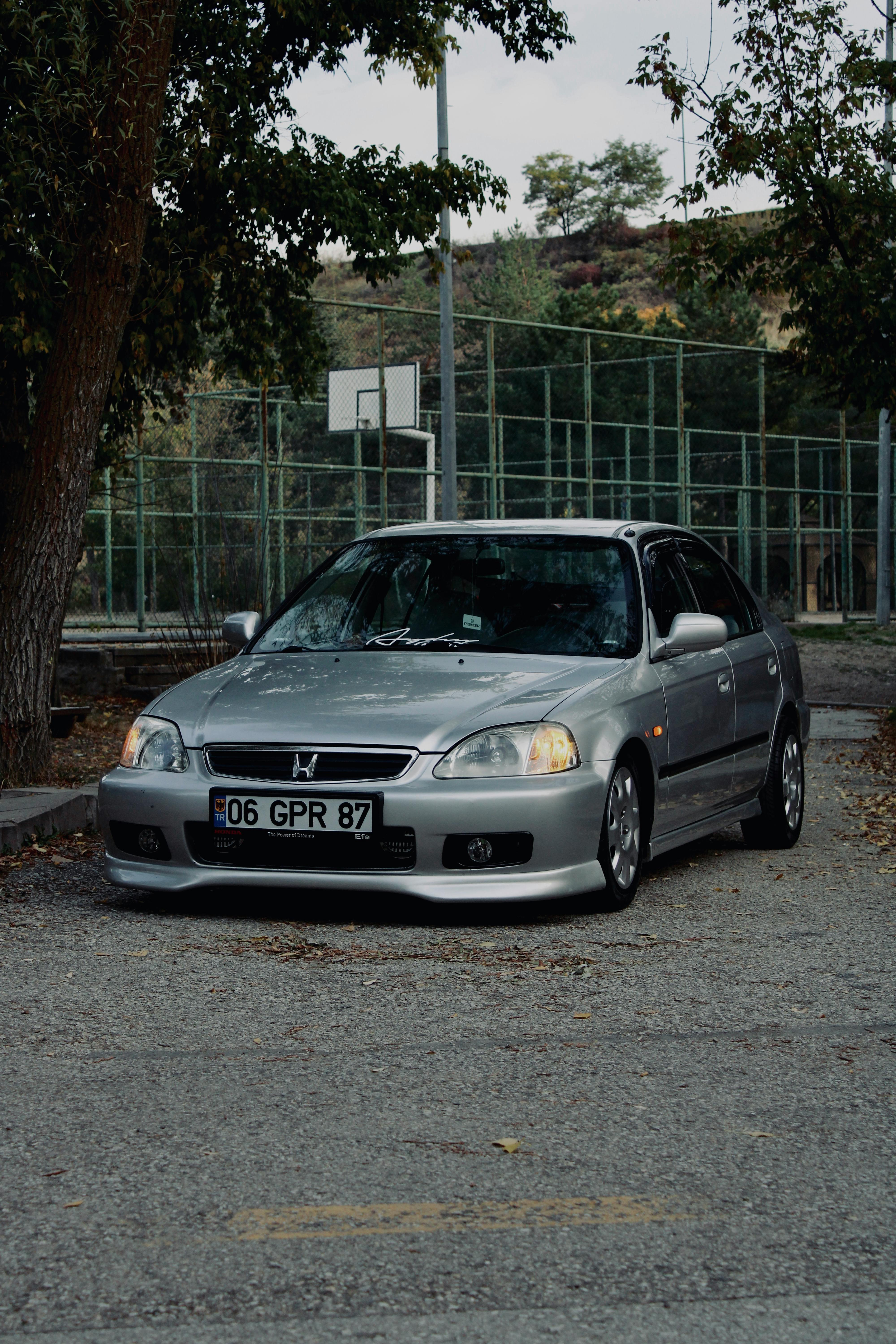 Forskjellige Typer Photos, Download The BEST Free Forskjellige Typer ...