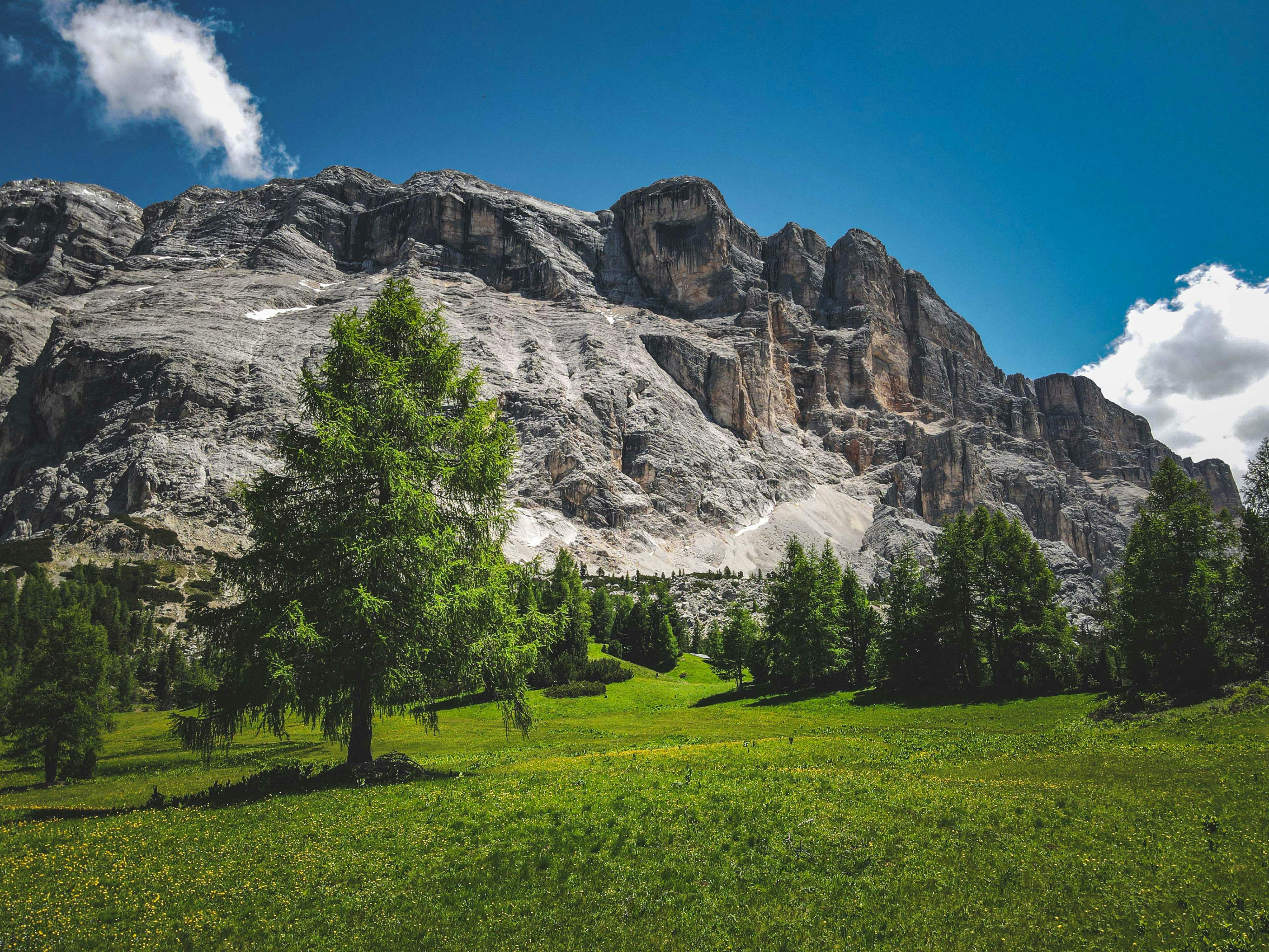 Rock Formation in Summer · Free Stock Photo