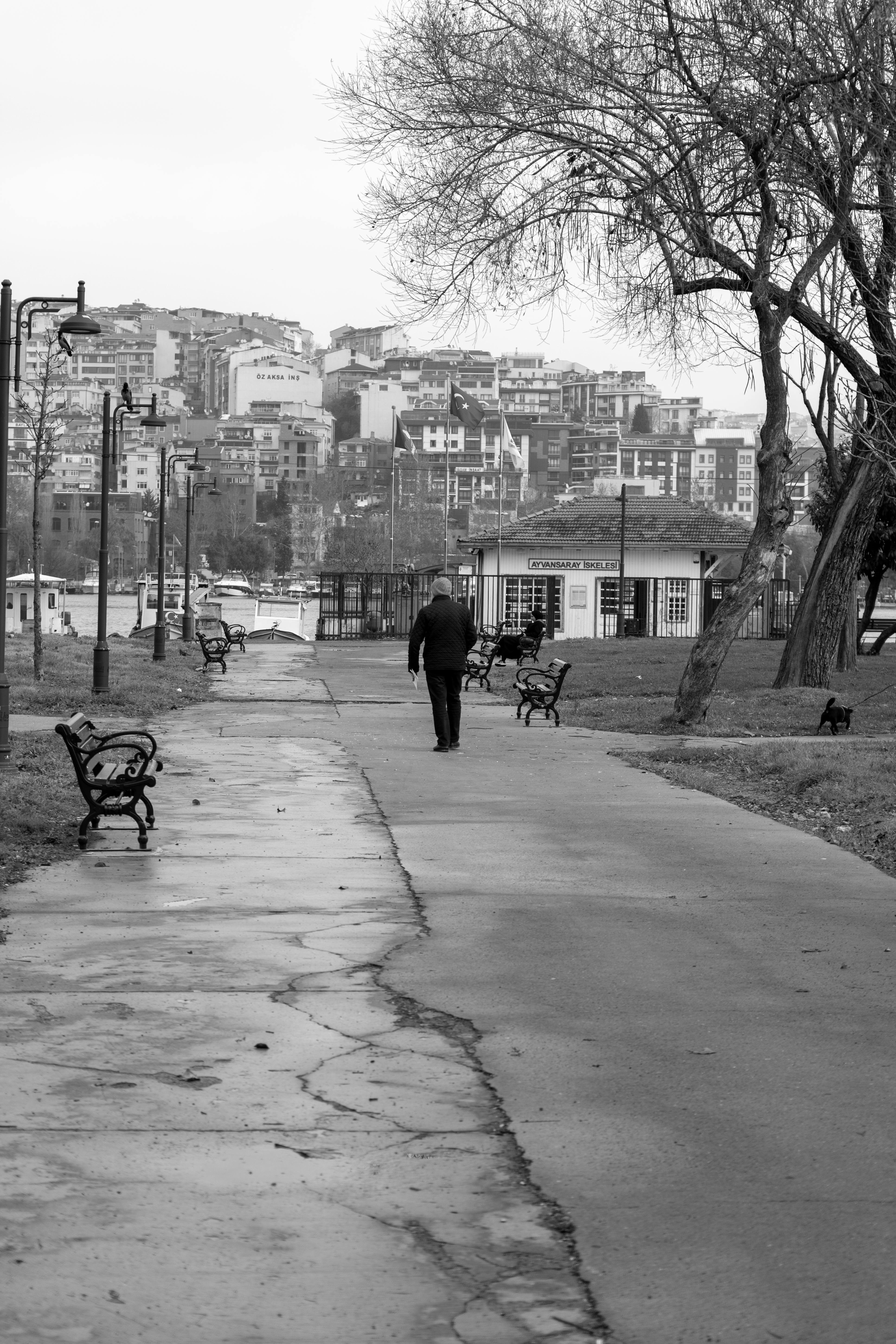 Two Old People On Bench Photos, Download The BEST Free Two Old People ...