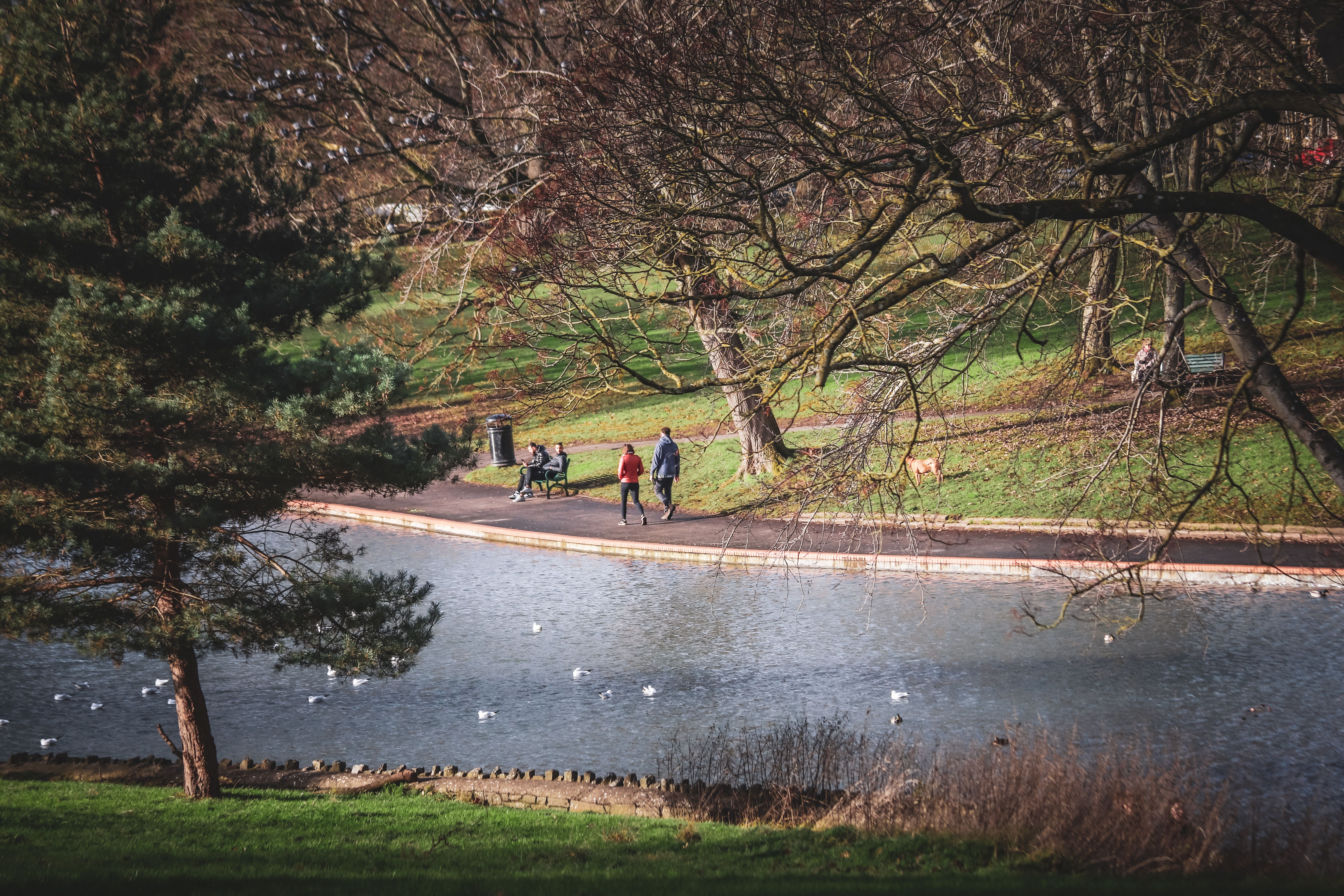 People Relaxing in Park · Free Stock Photo