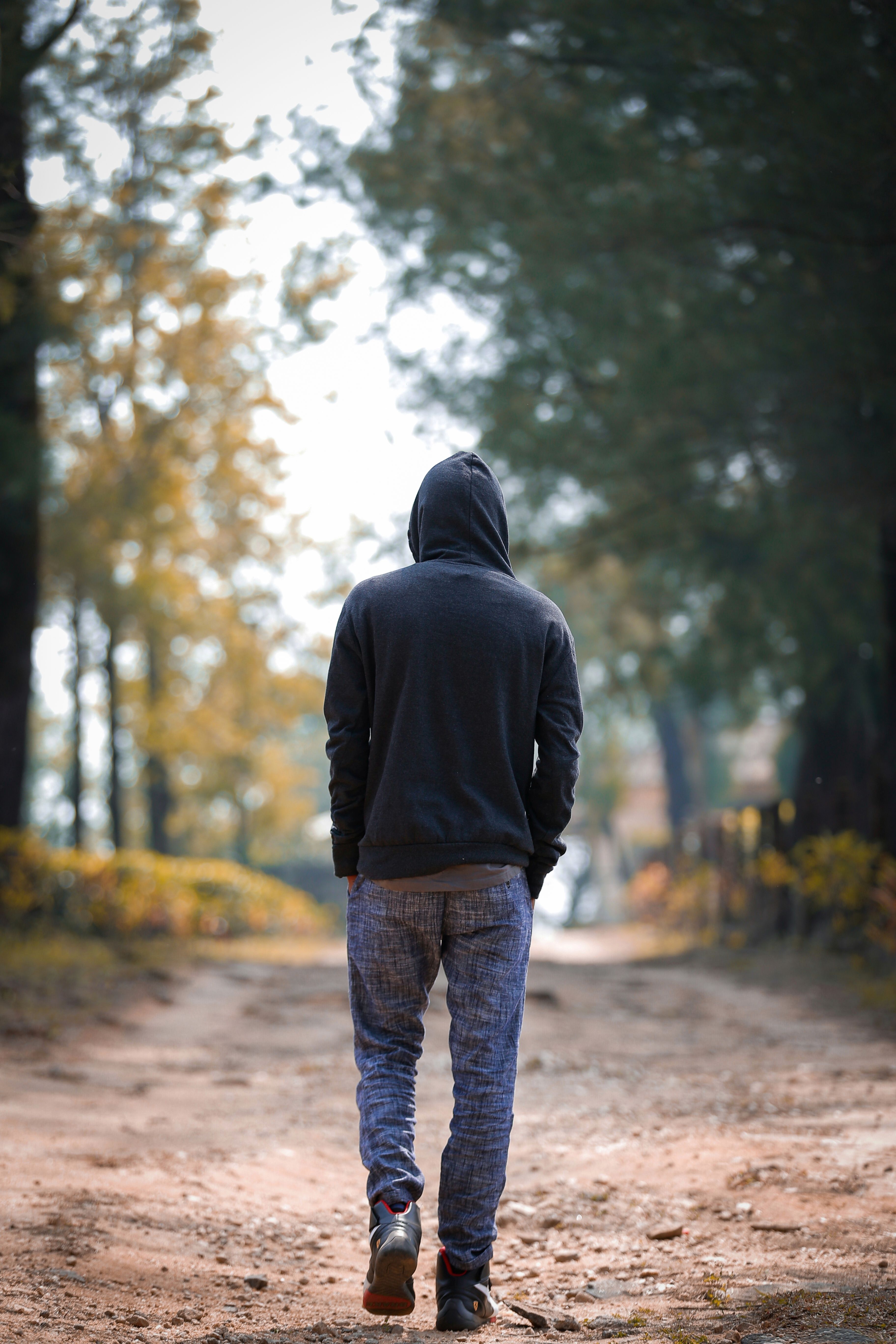 Man Walking in Forest · Free Stock Photo