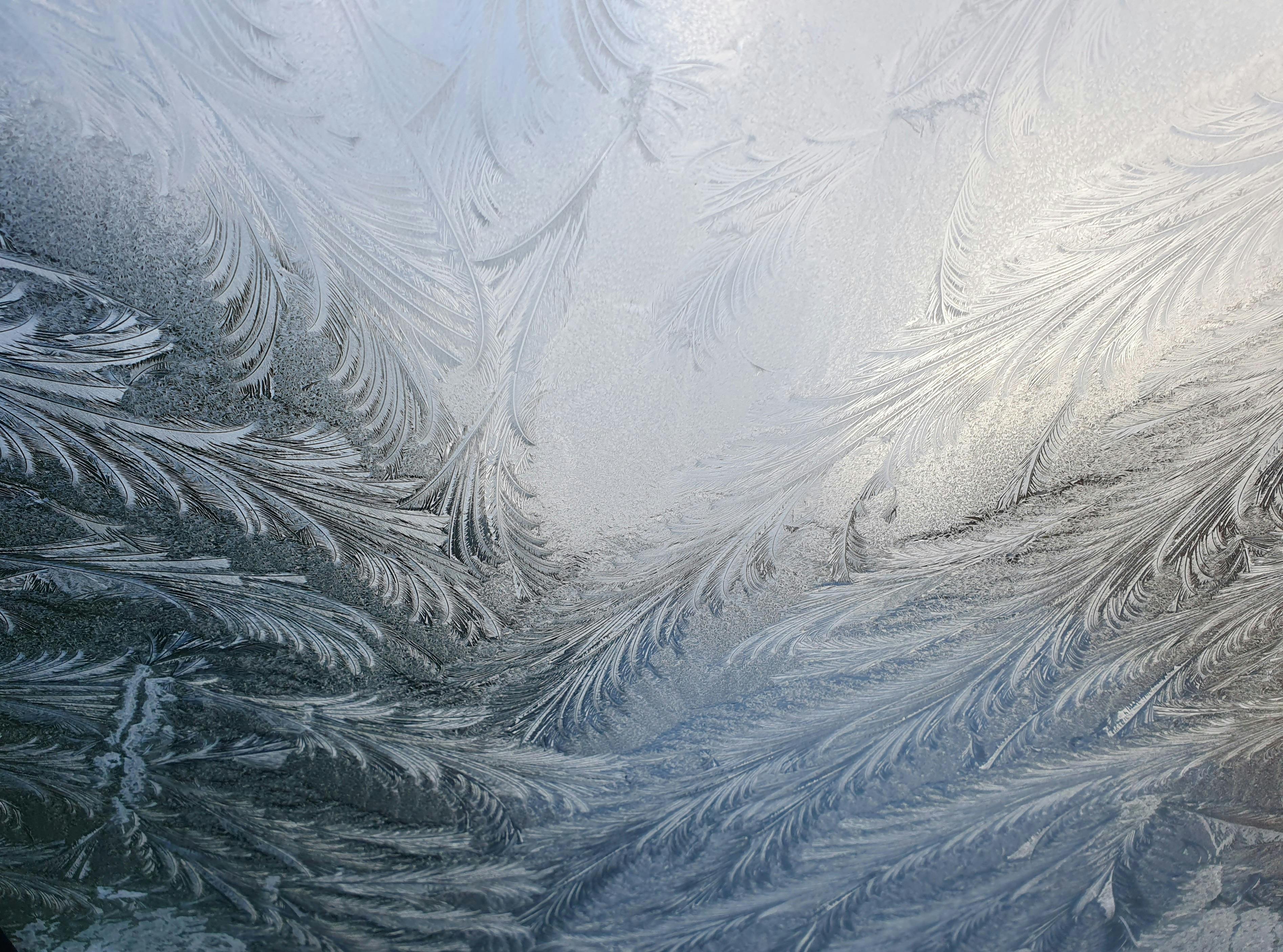 Frost on Window Pane · Free Stock Photo