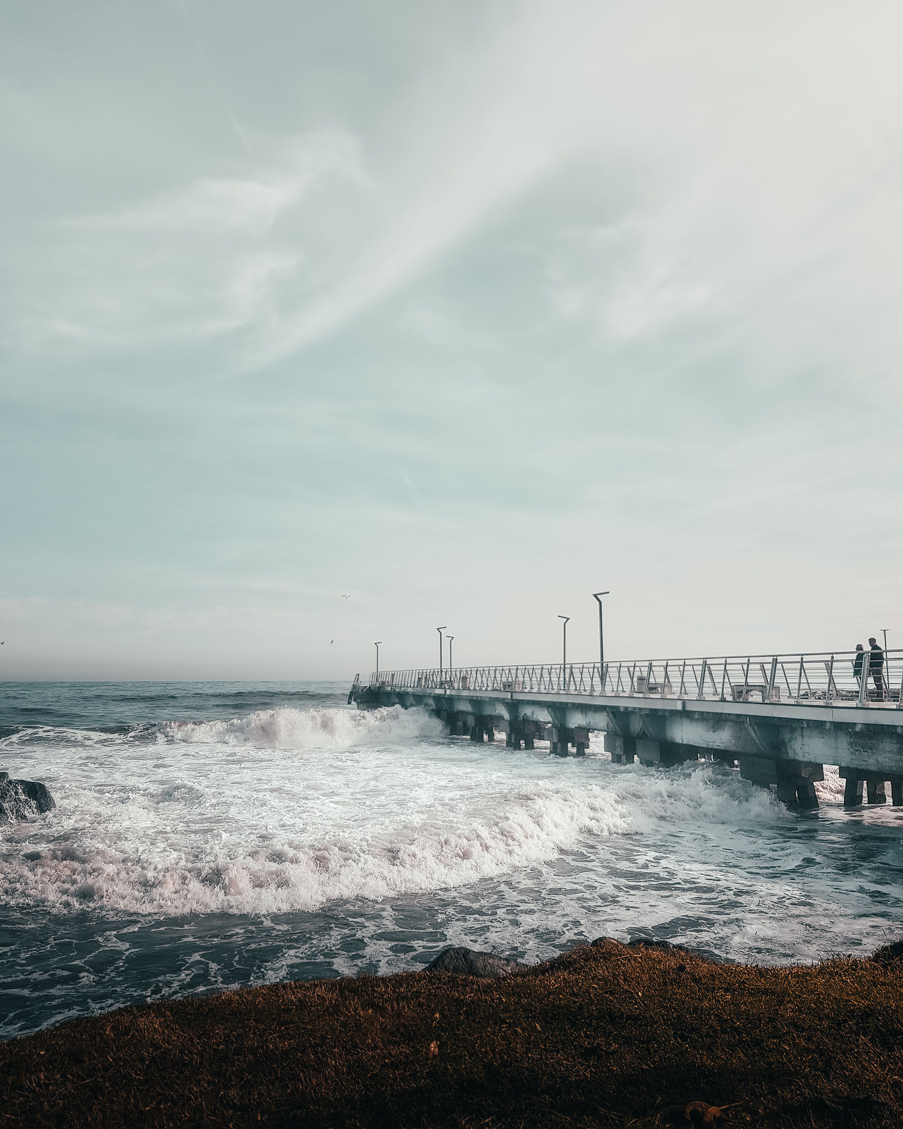 Waves in Sea · Free Stock Photo