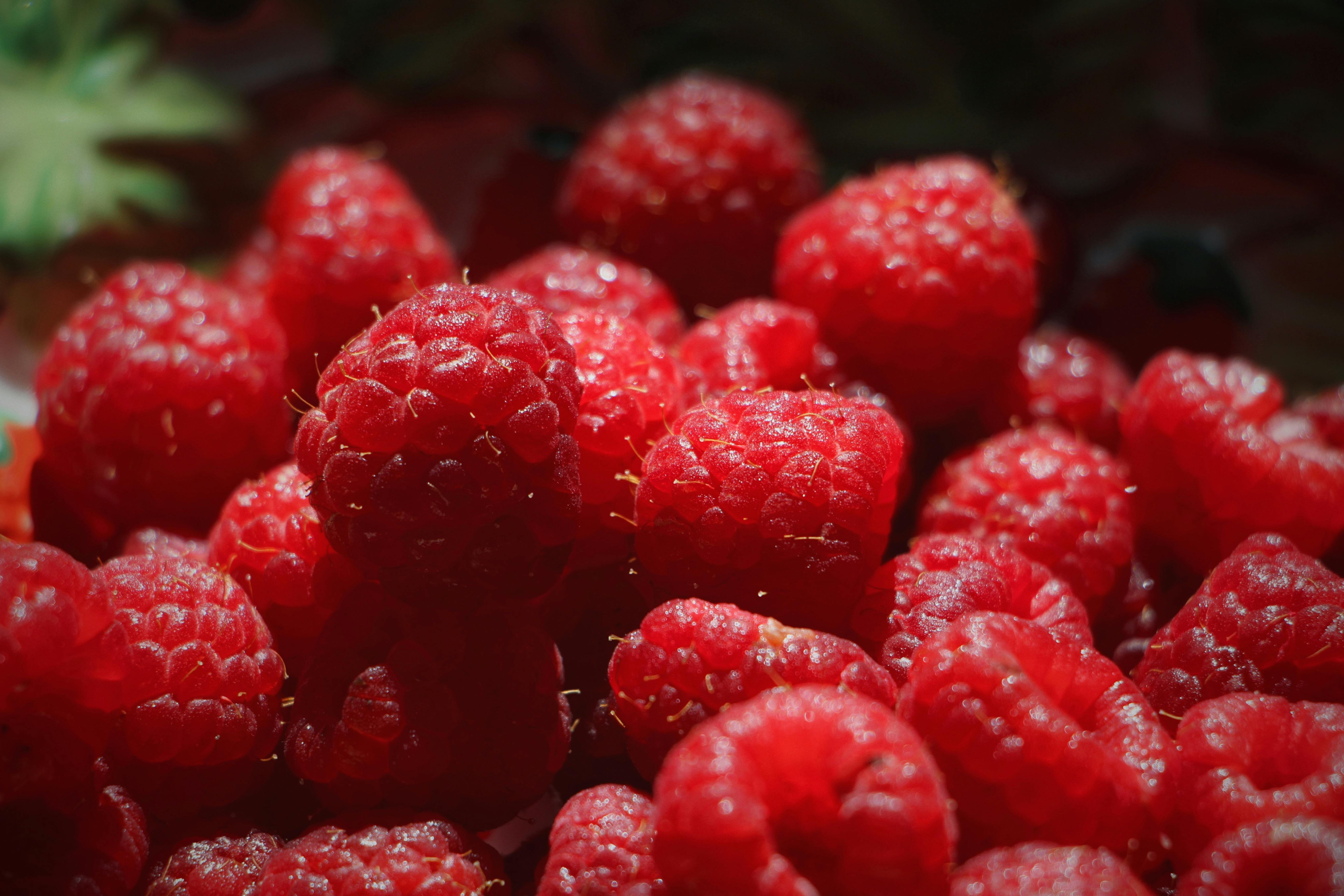 Close-Up Shot of Raspberries · Free Stock Photo