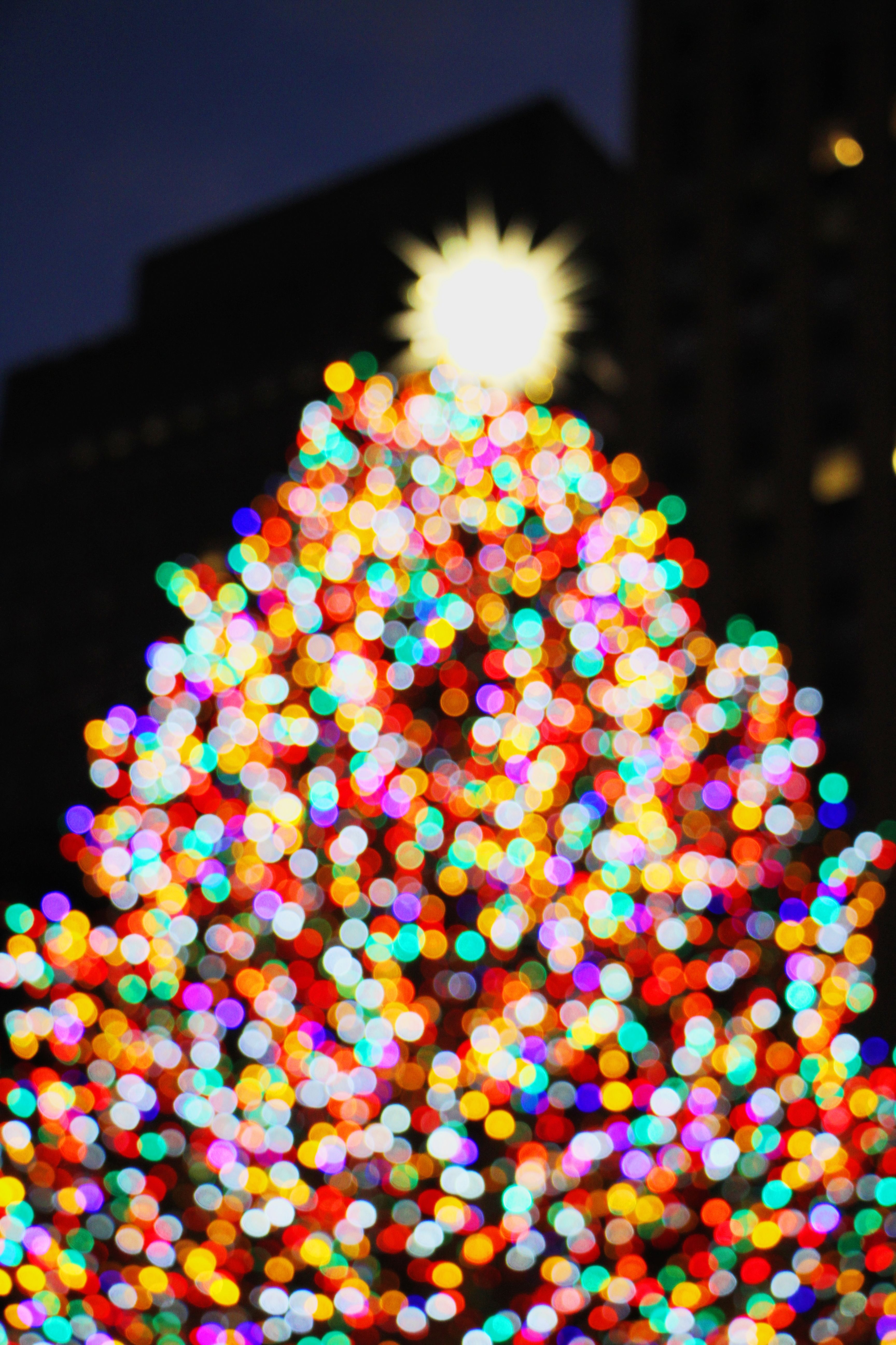 Blurry Christmas Lights on Black Background · Free Stock Photo