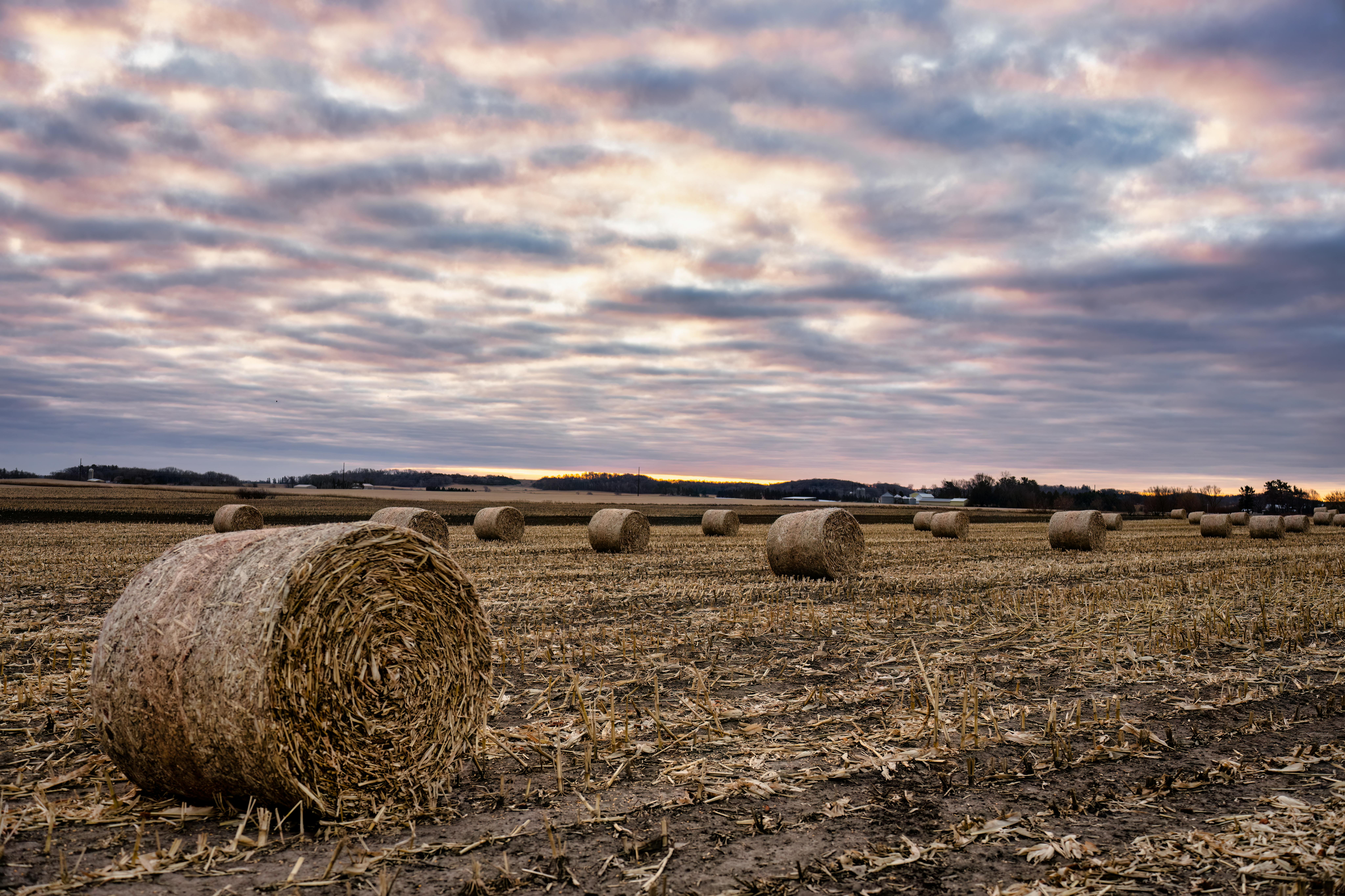 Hay Rolls on Hay Field under the Cloudy Sky · Free Stock Photo