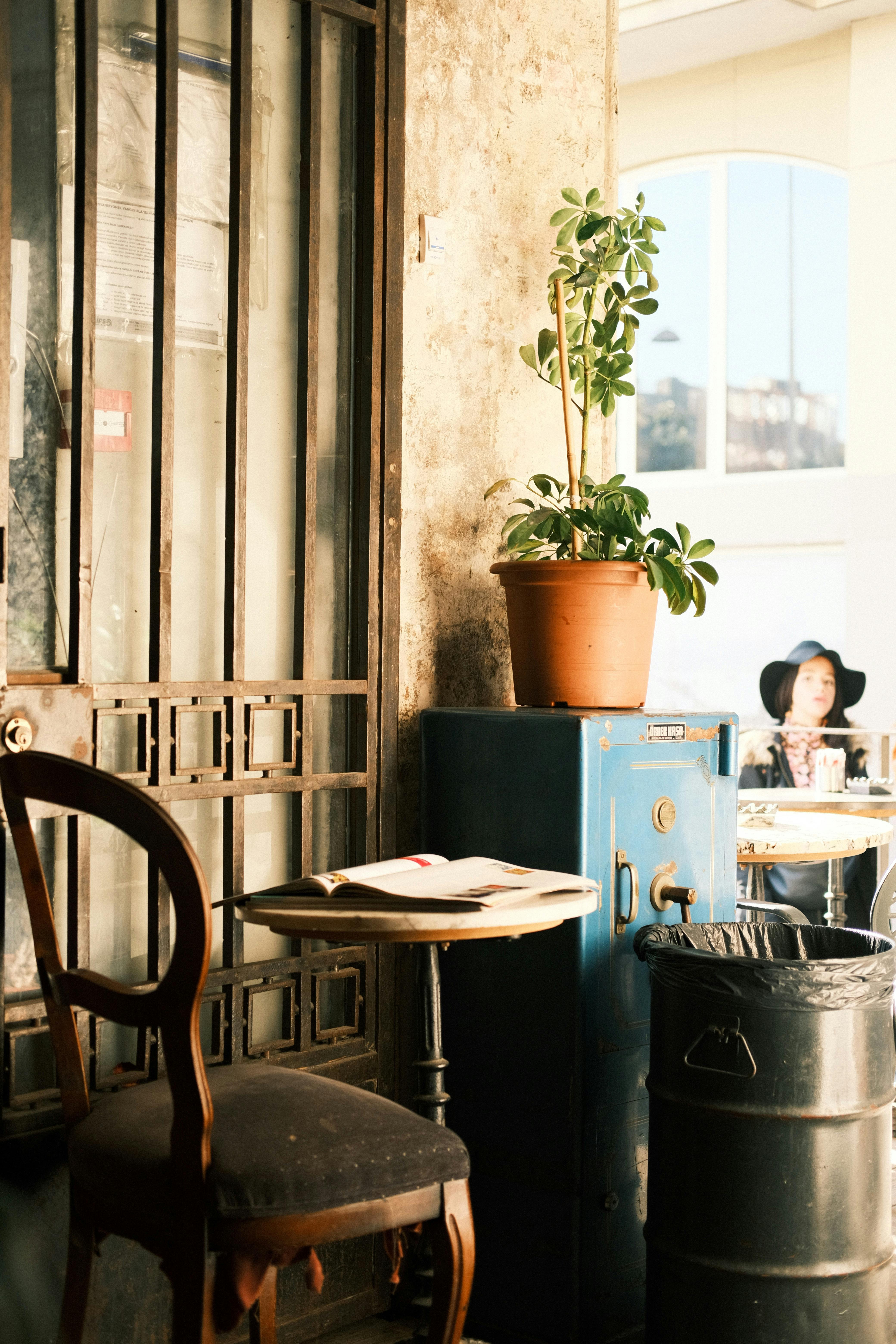 Plant on Strongbox near Table and Chair · Free Stock Photo
