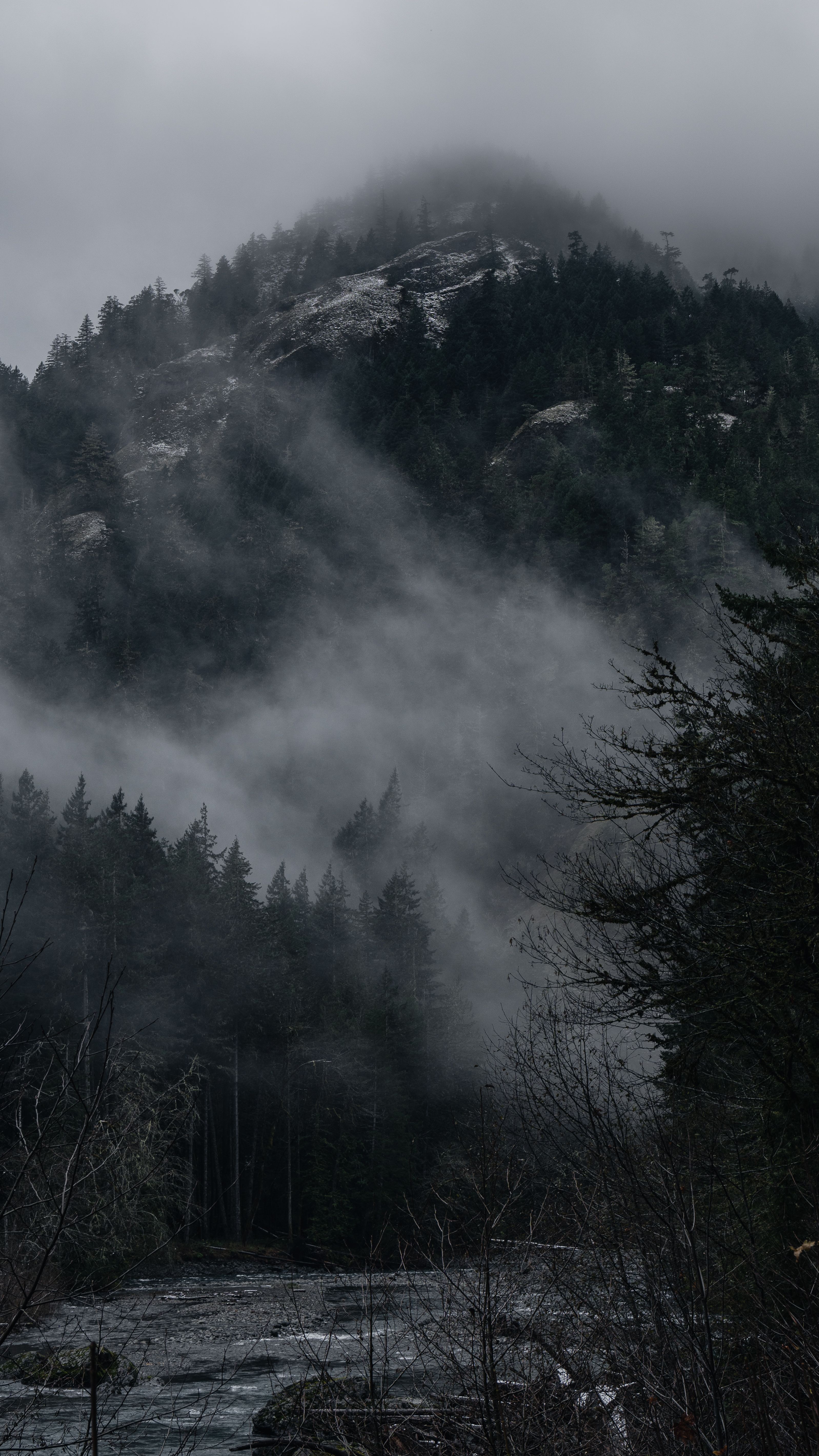 Moody PNW Landscape · Free Stock Photo