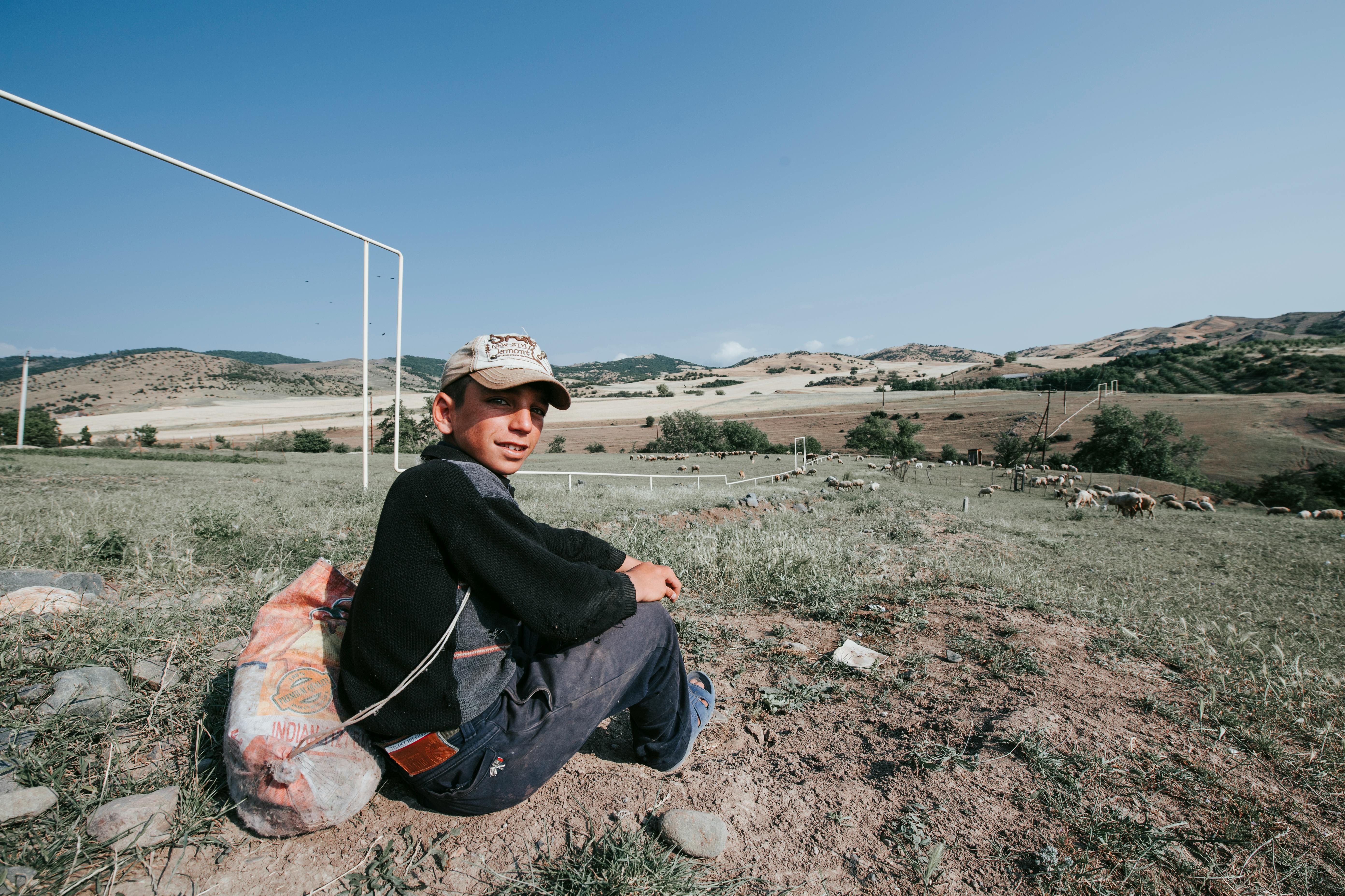 Sheep Shoulder Photos, Download The BEST Free Sheep Shoulder Stock ...