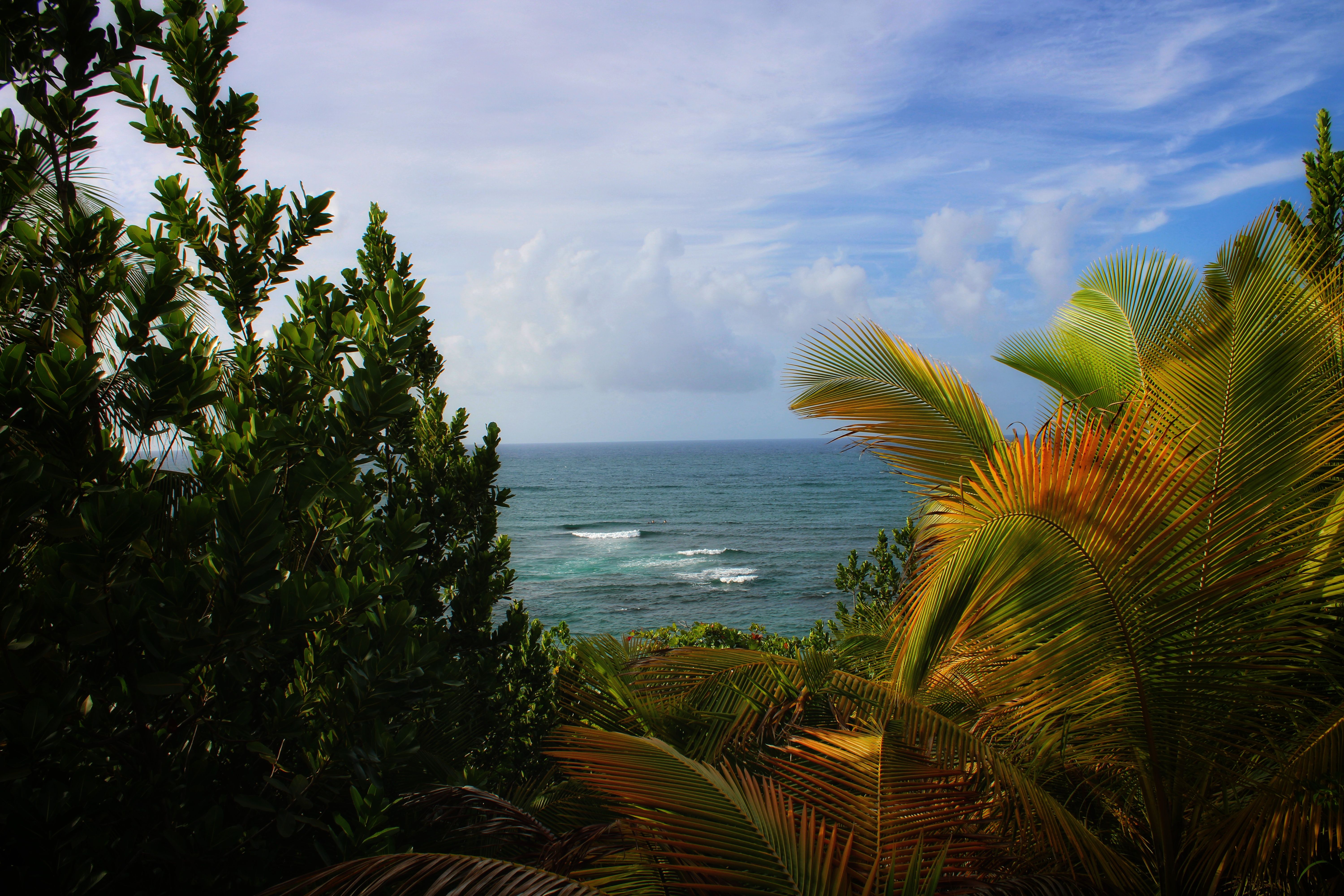 A view of the ocean from a hillside · Free Stock Photo