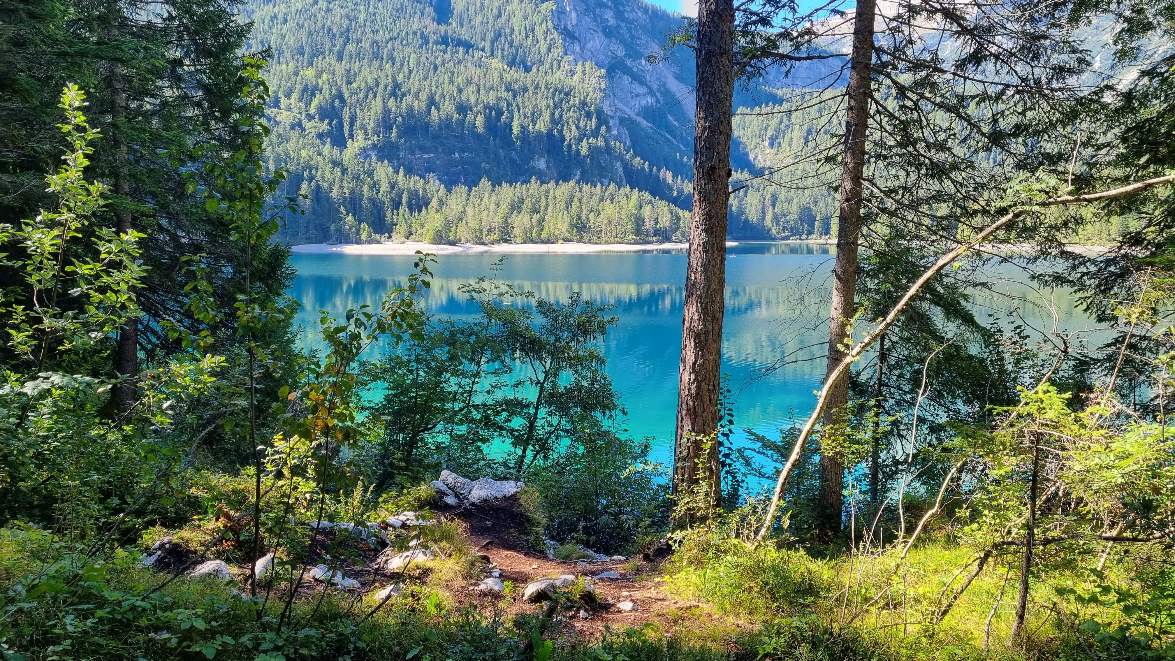 Trees Near Lake · Free Stock Photo