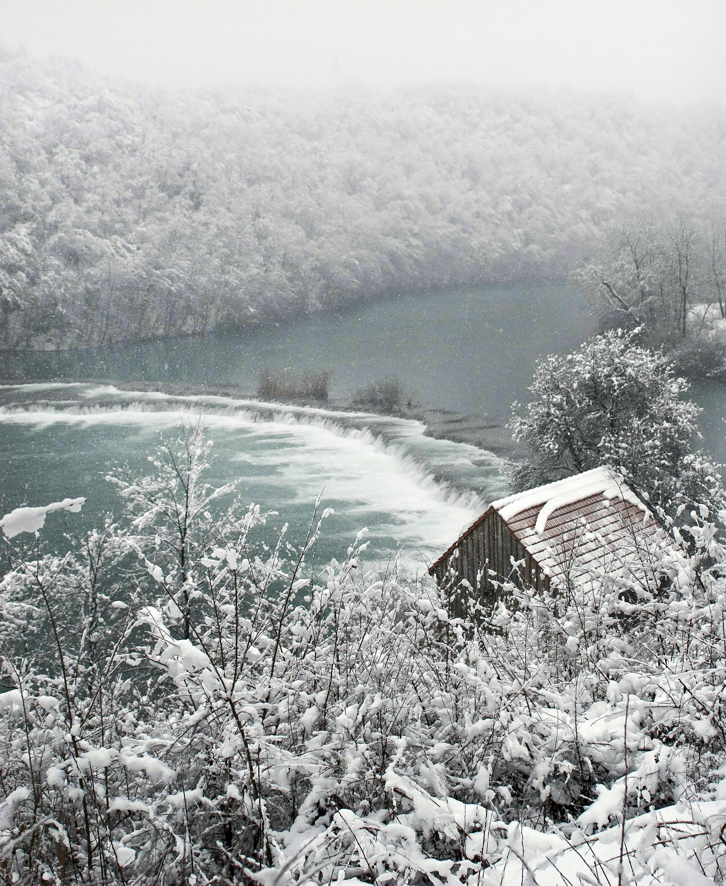 Overcast over Town in Forest · Free Stock Photo